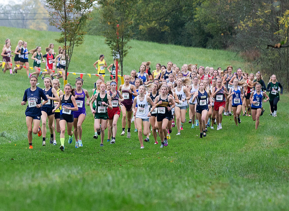 2021 PIAA District 3 girls cross country championships - pennlive.com