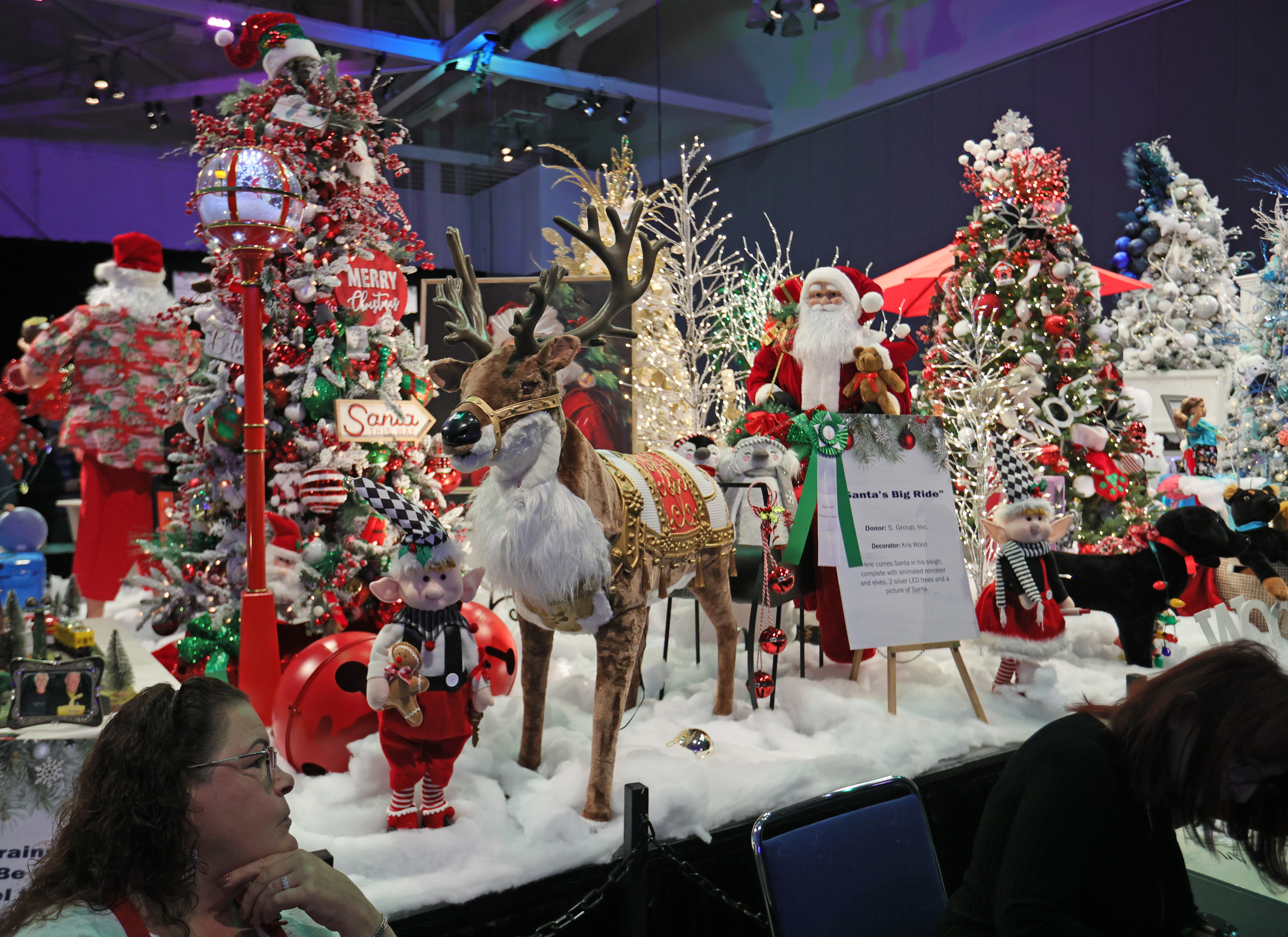 Akron Children’s Hospital 43rd annual HolidayTree Festival, November 17 ...