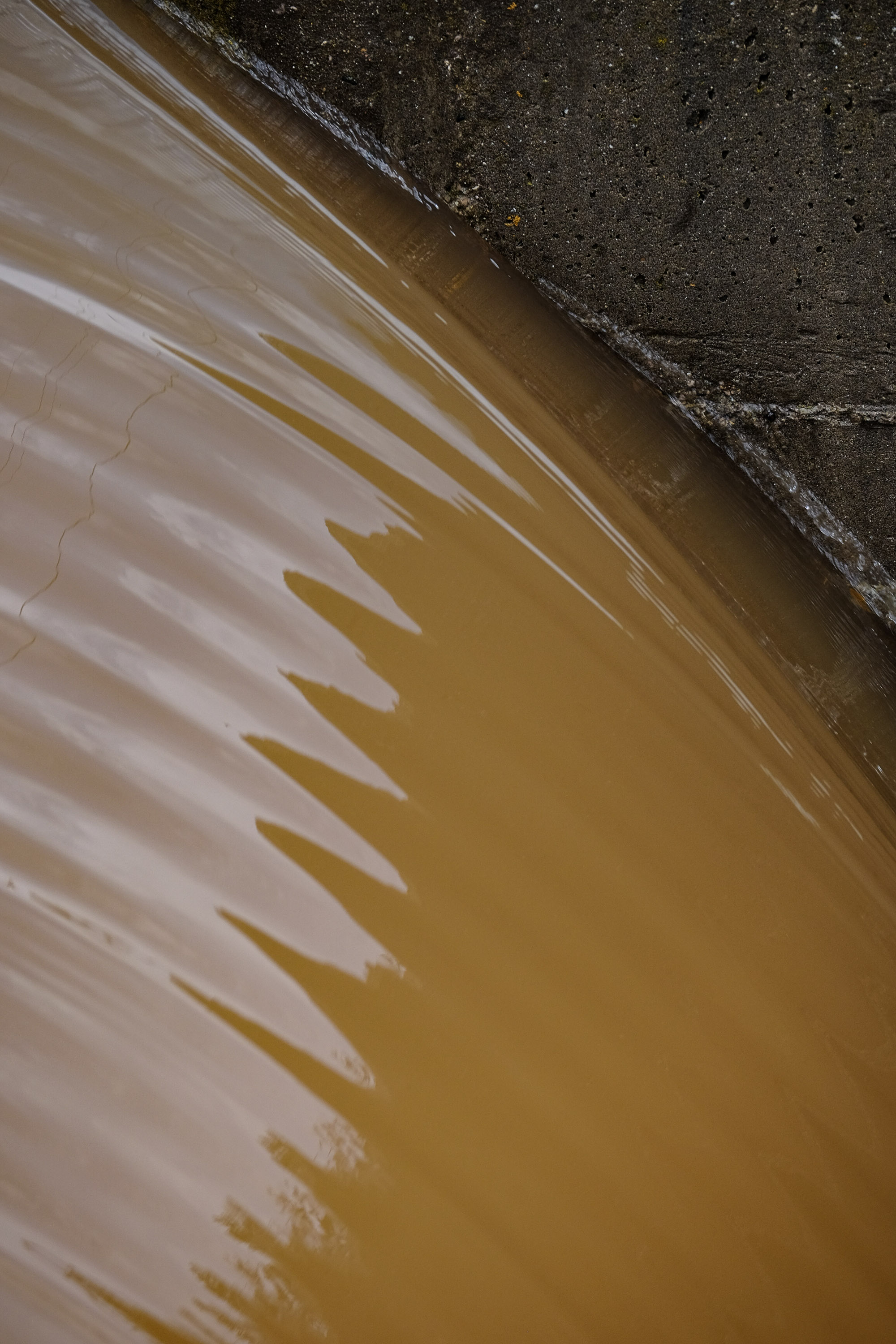 Heavy rains cause Forest Lake dam spillway to overflow - mlive.com