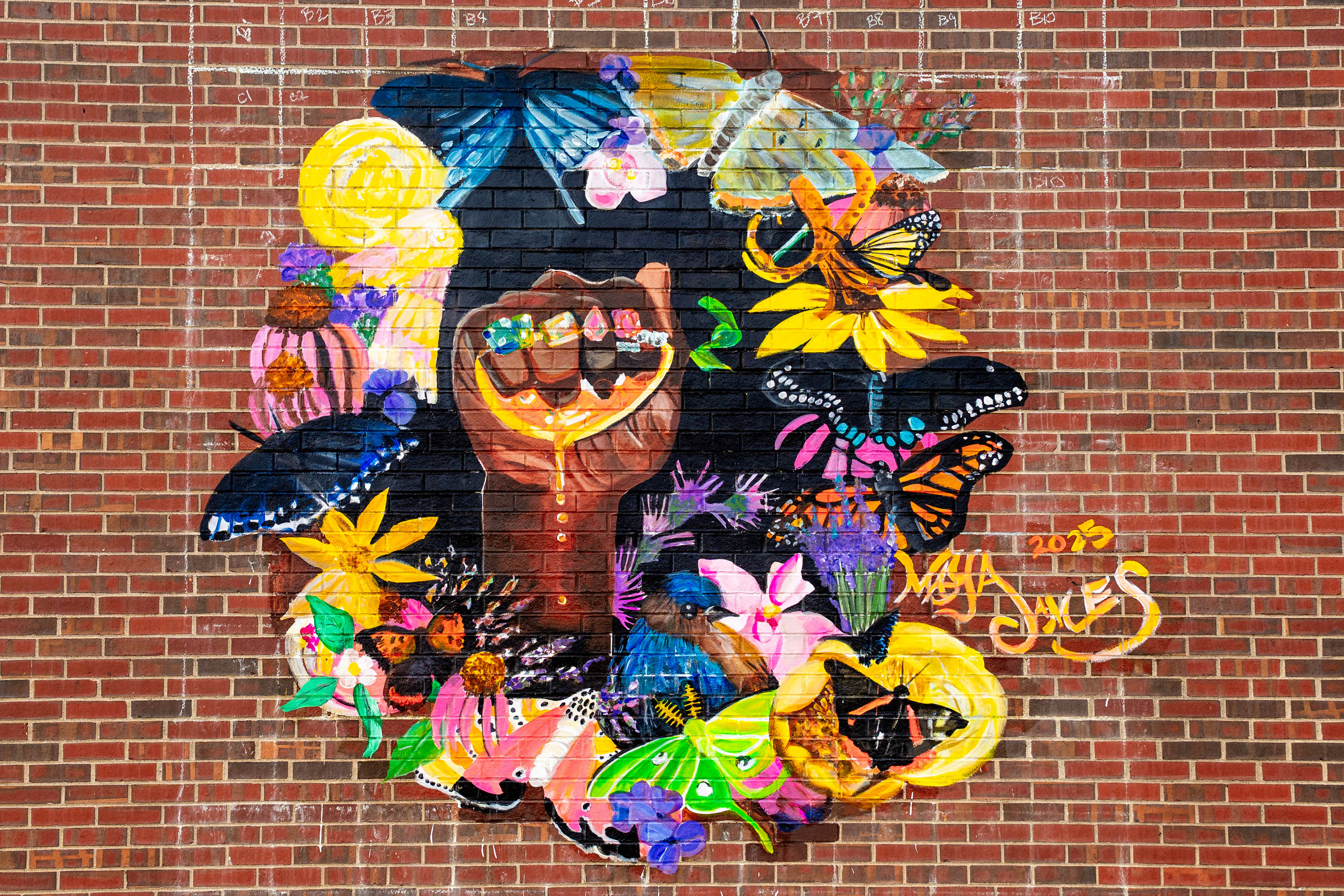 See how these downtown Kalamazoo walls were transformed Brush the Block ...