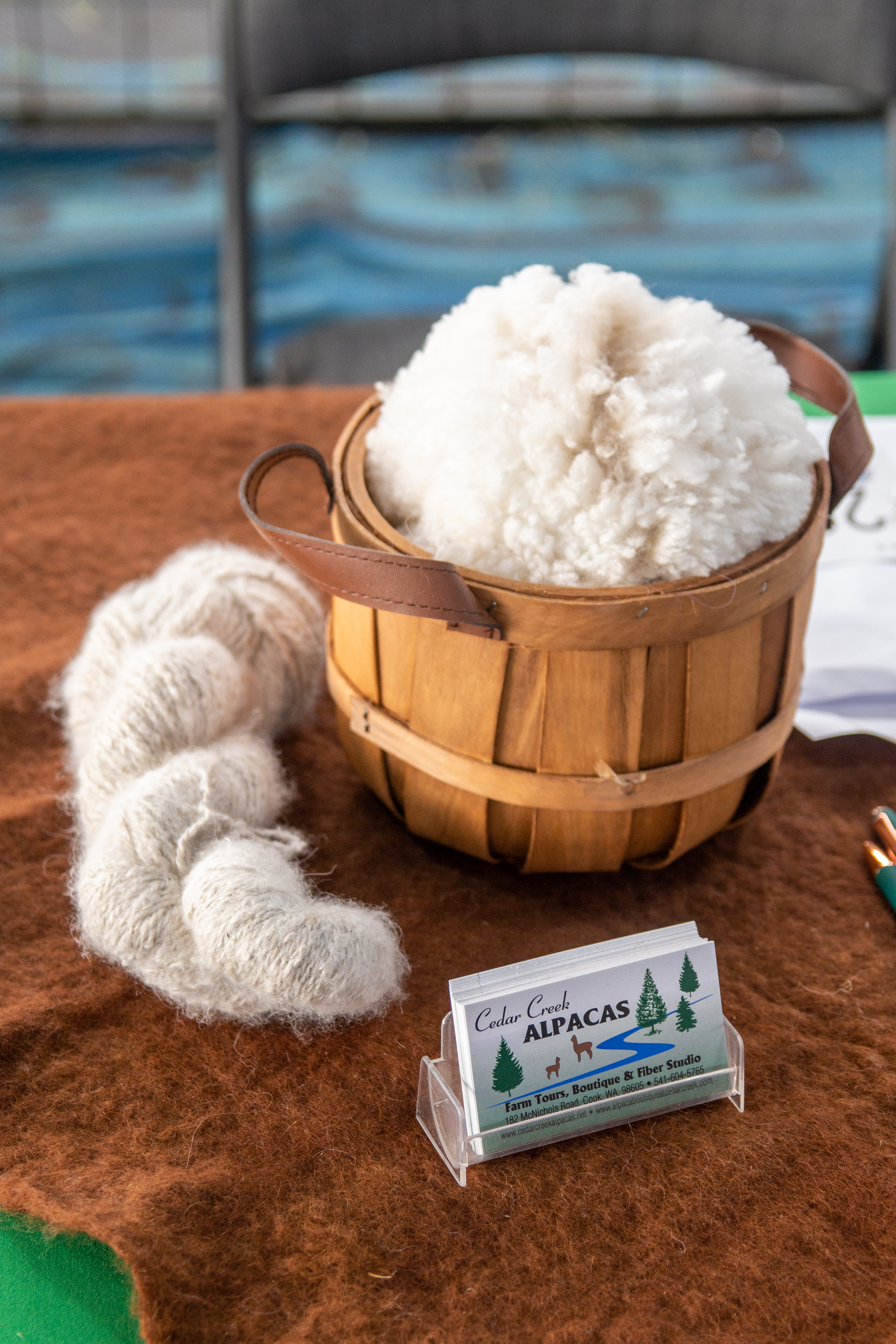 Award-winning alpacas compete in McMinnville - oregonlive.com