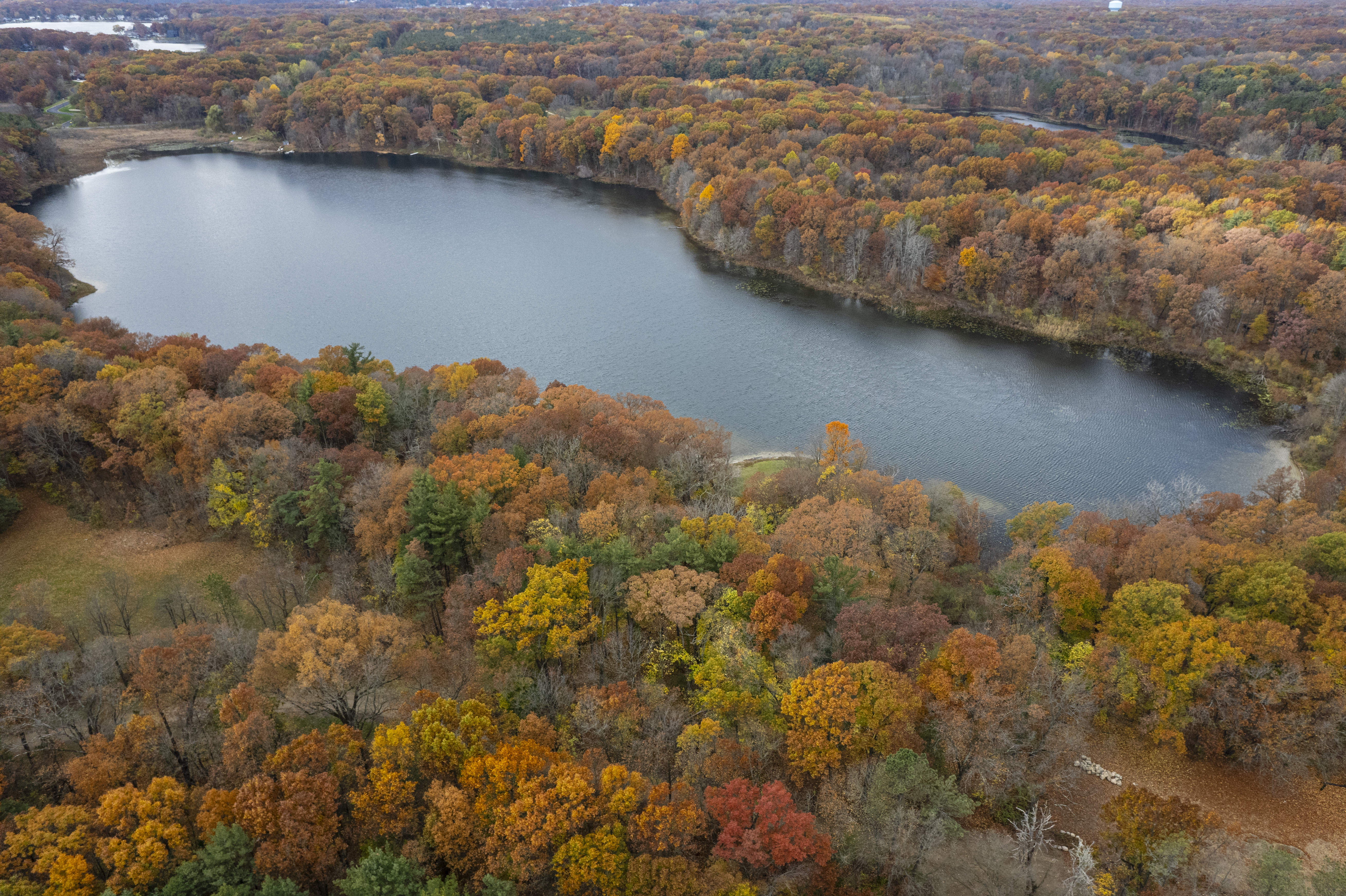 Arthur E. & Mildred H. Woollam Nature Preserve in Kalamazoo County ...