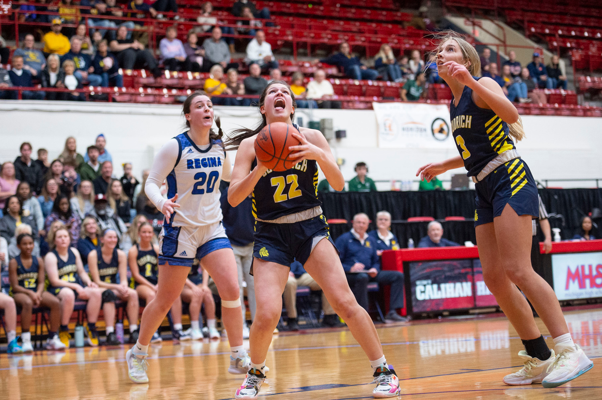 Goodrich vs. Warren Regina girls high school basketball - mlive.com