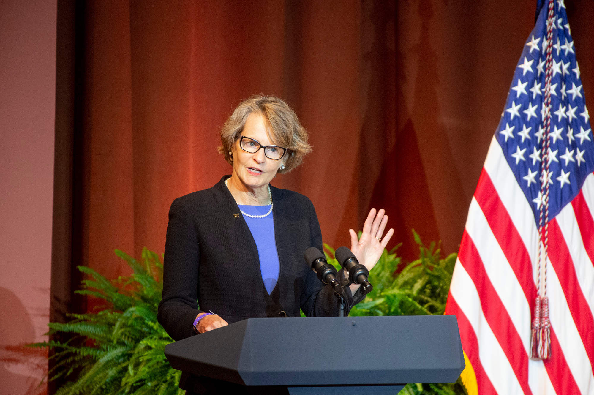 Kamala Harris speaks in Ann Arbor on climate policy - mlive.com