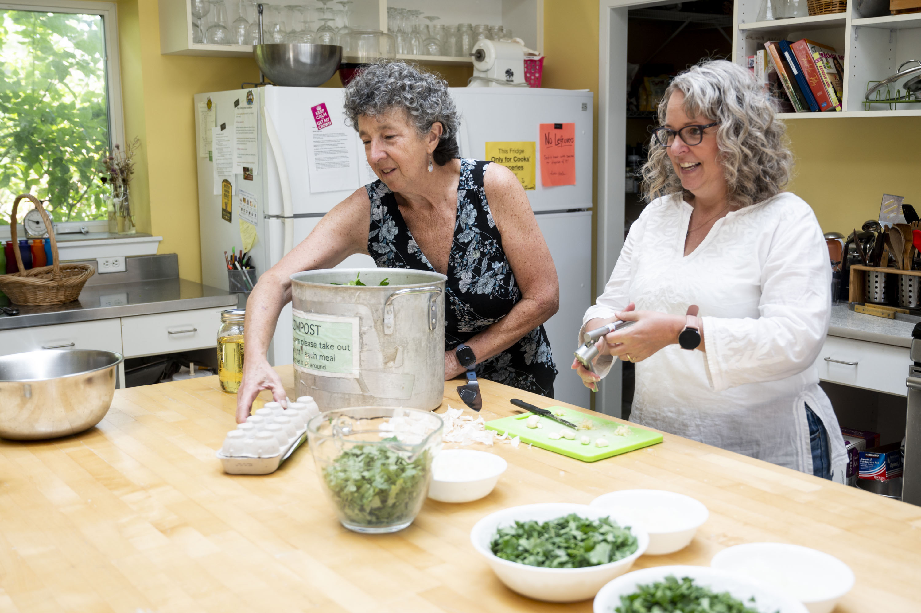 Cohousing communities across Michigan offer separate homes with ...