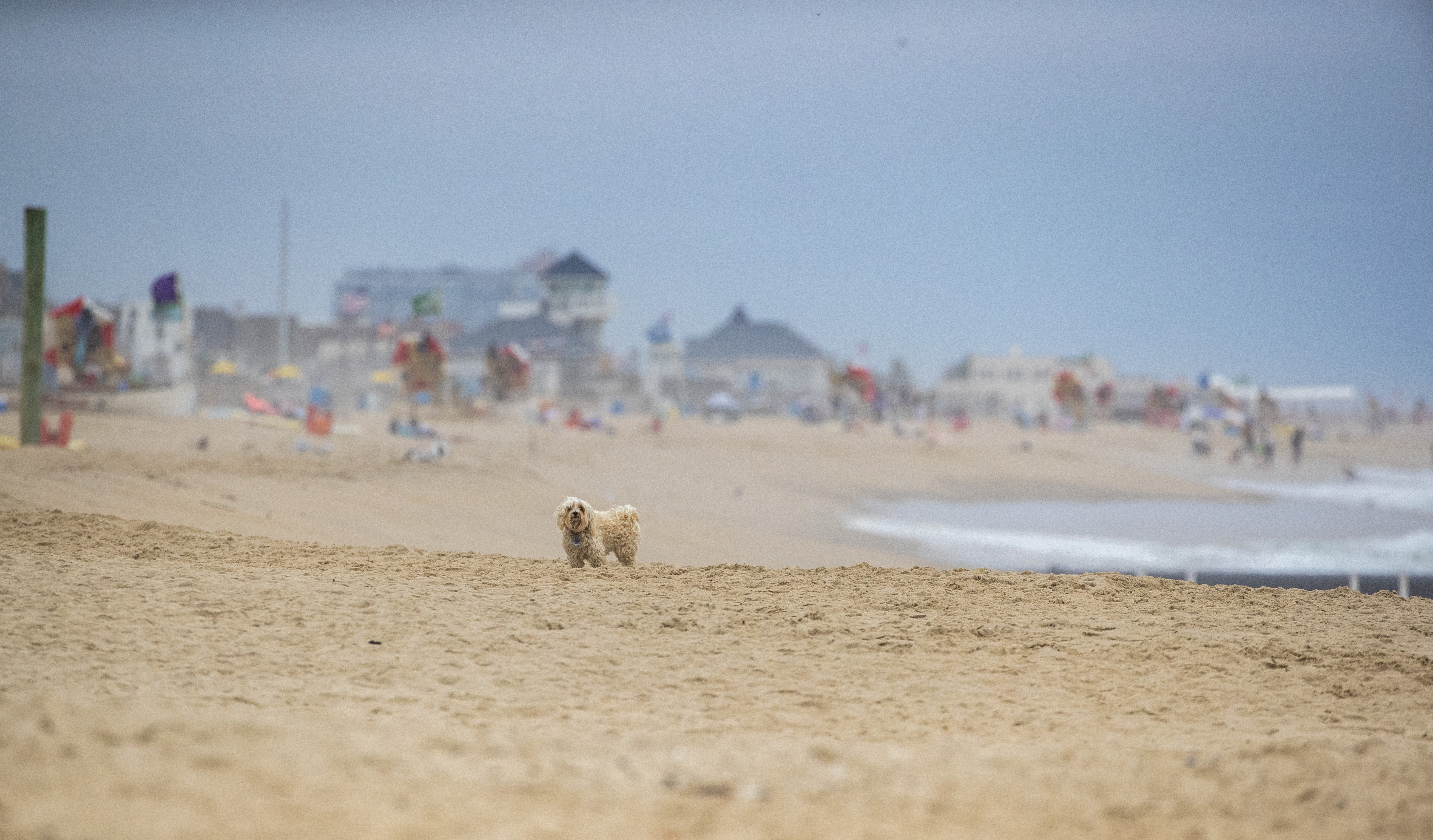 Beach Days at the Jersey Shore - nj.com