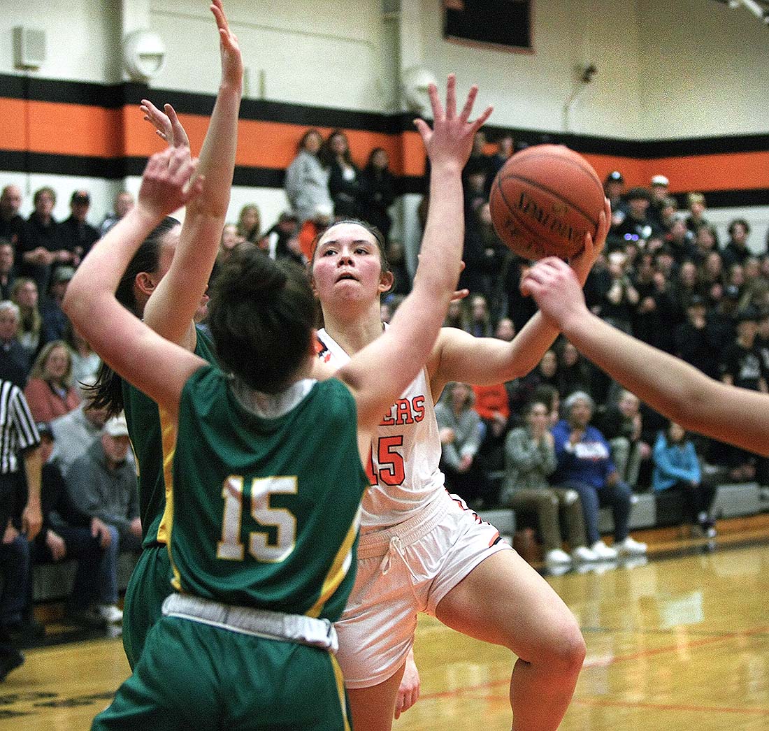 Notre Dame-Worcester vs South Hadley girls Basketball 3/9/22 - masslive.com
