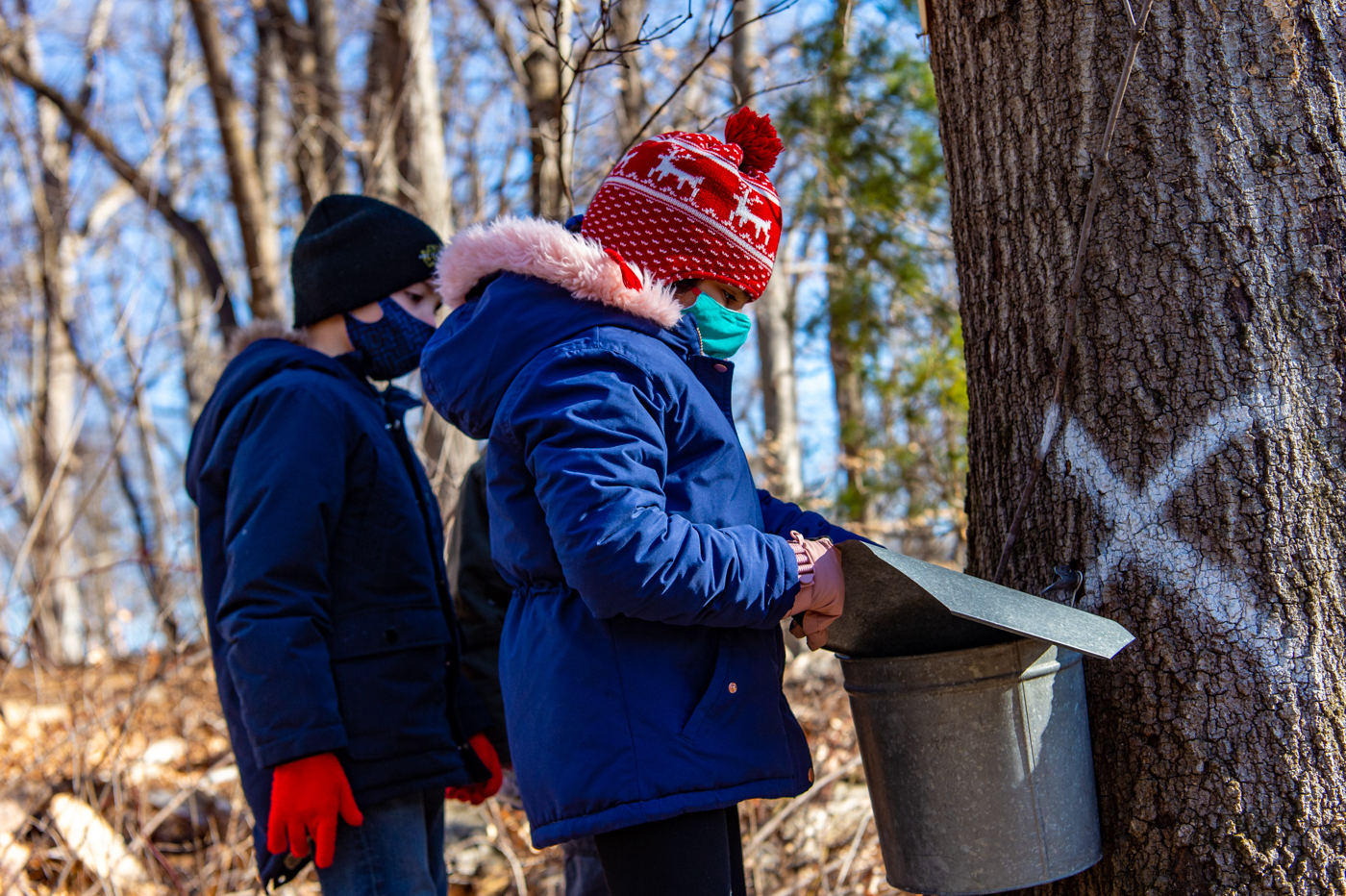 Hyperlocal Maple Sugaring - nj.com