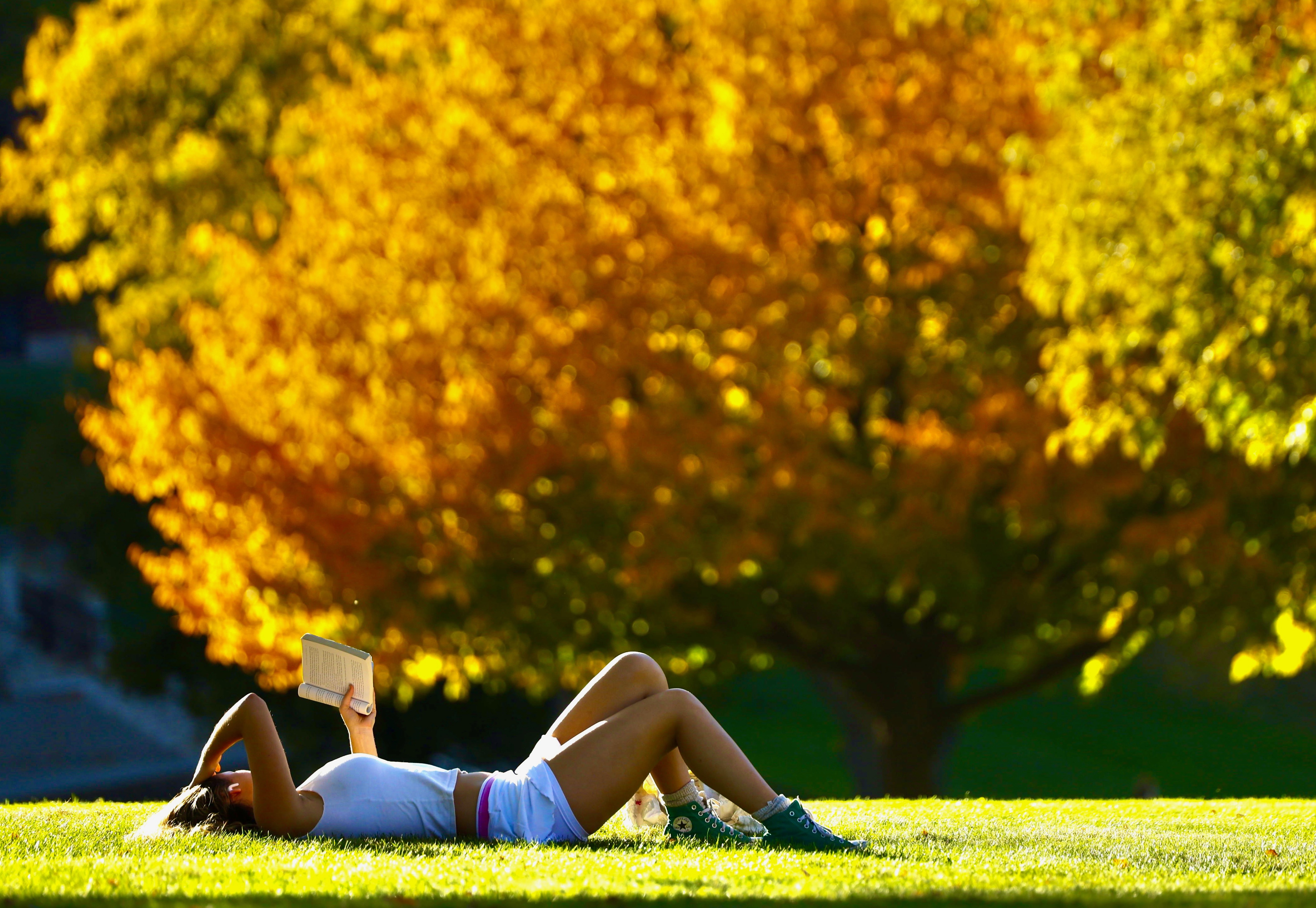 Autumn colors delight as fall foliage transforms Central NY - syracuse.com