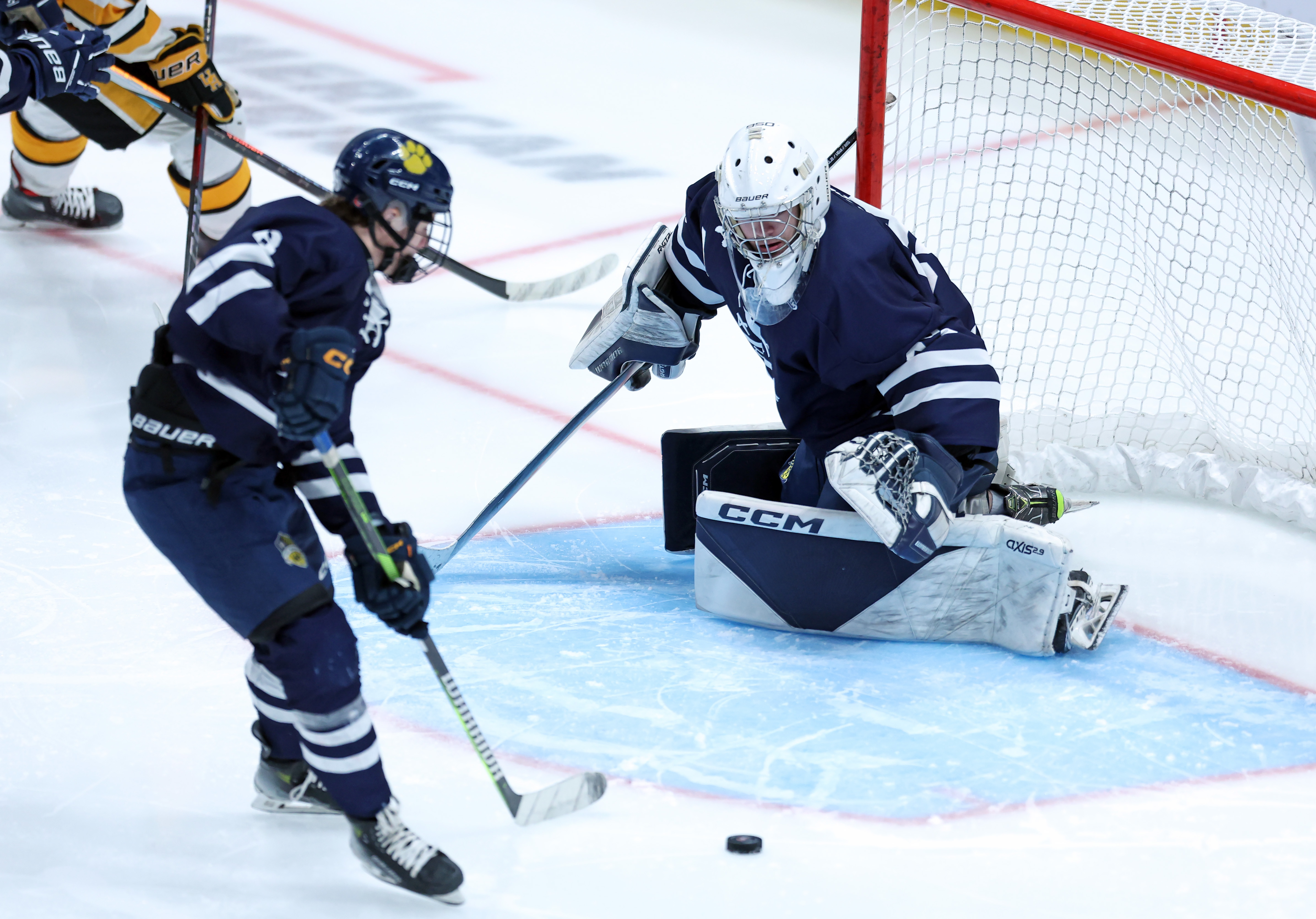 OHSAA ice hockey state championship, March 9, 2025 - cleveland.com