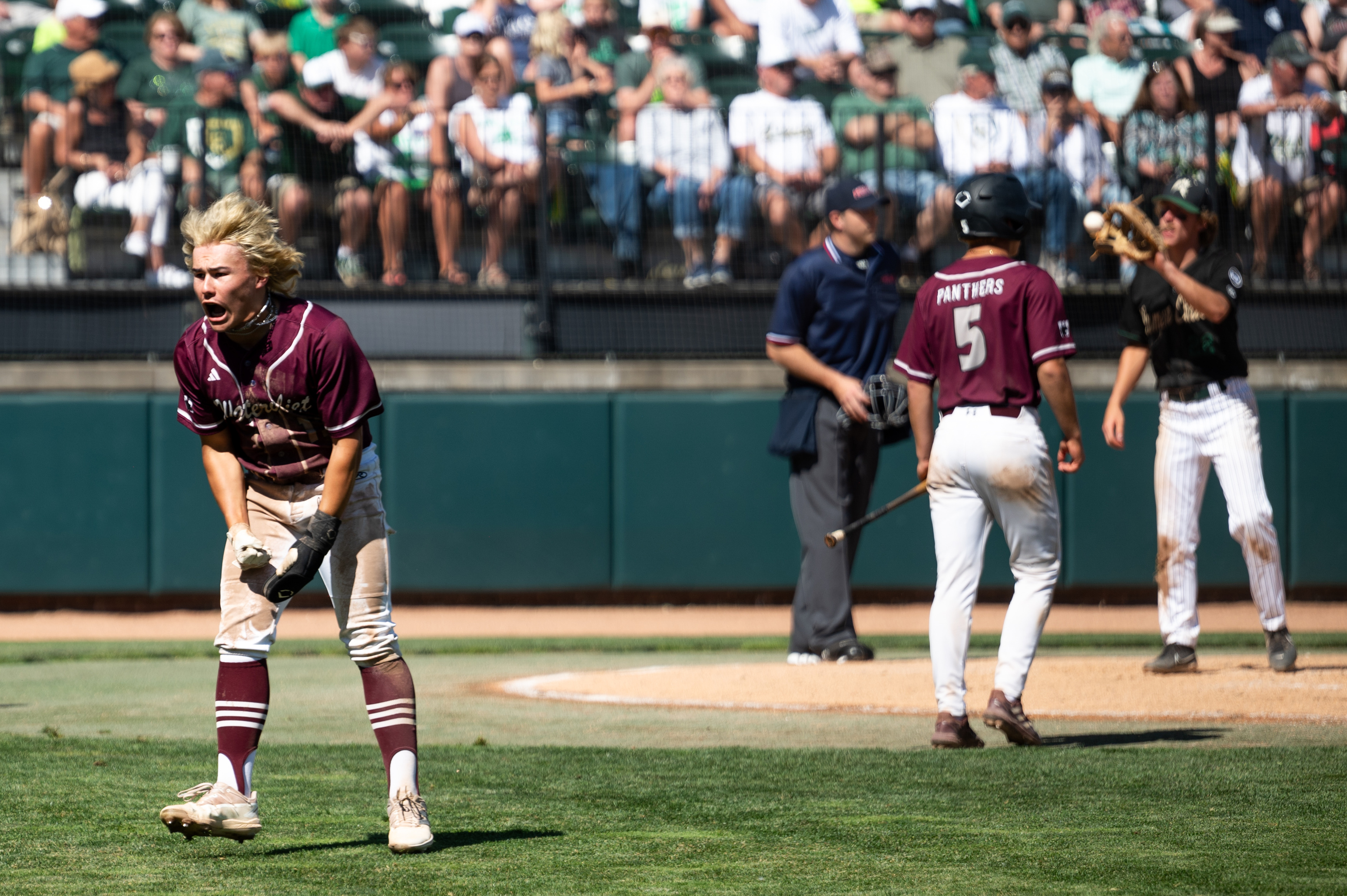 Watervliet wins MHSAA Division 3 baseball state championship - mlive.com