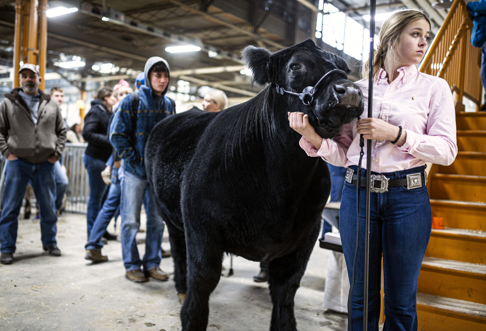 Scenes from Day 4 of the 2022 Pa. Farm Show - pennlive.com