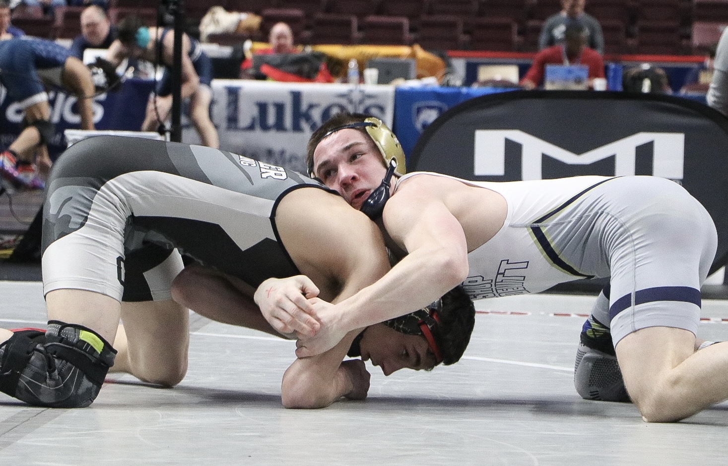 Mid-Penn Conference boys wrestlers compete in the PIAA Class 2A ...