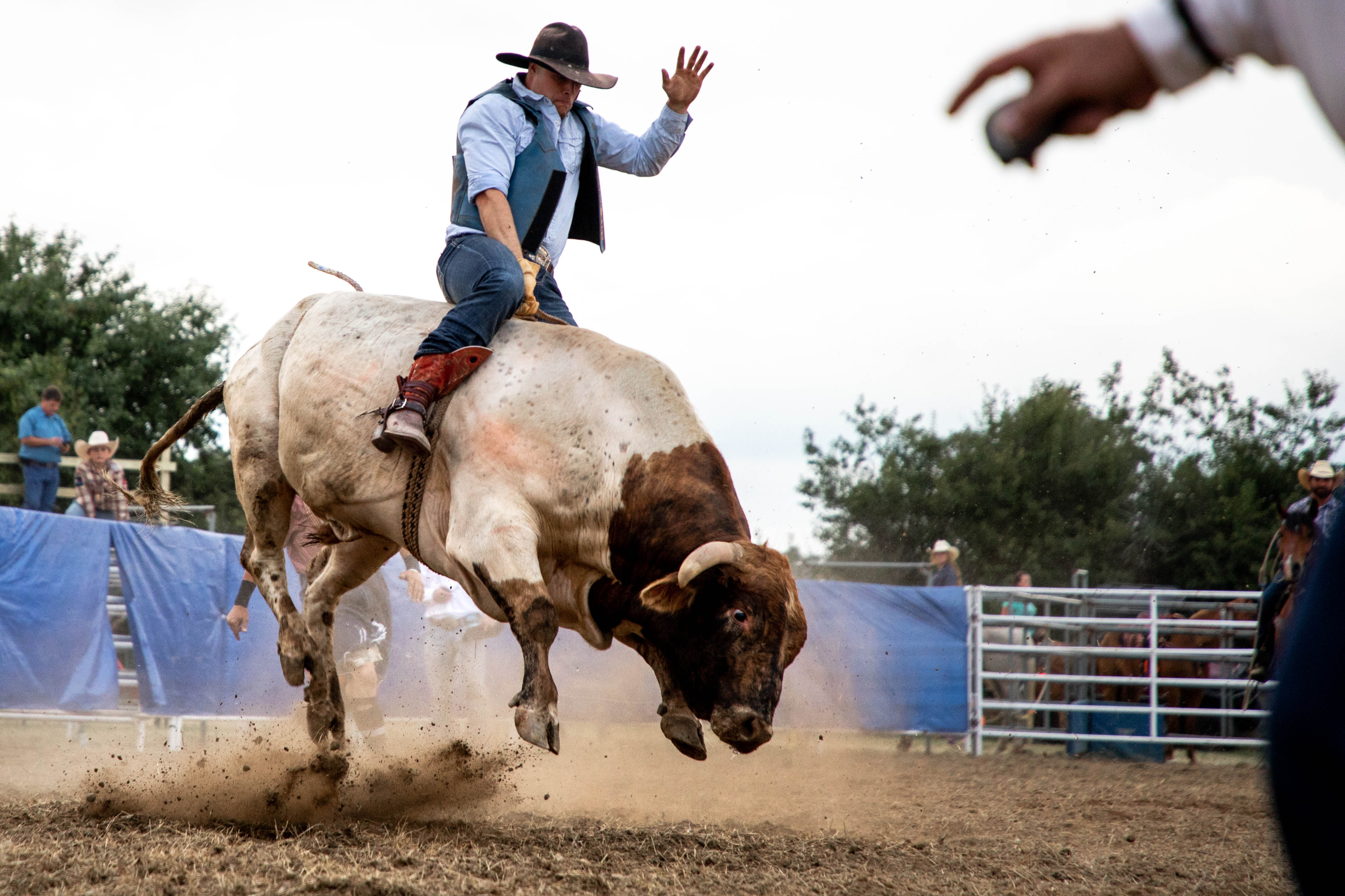 A look back at annual rodeo in Gaines Township - mlive.com