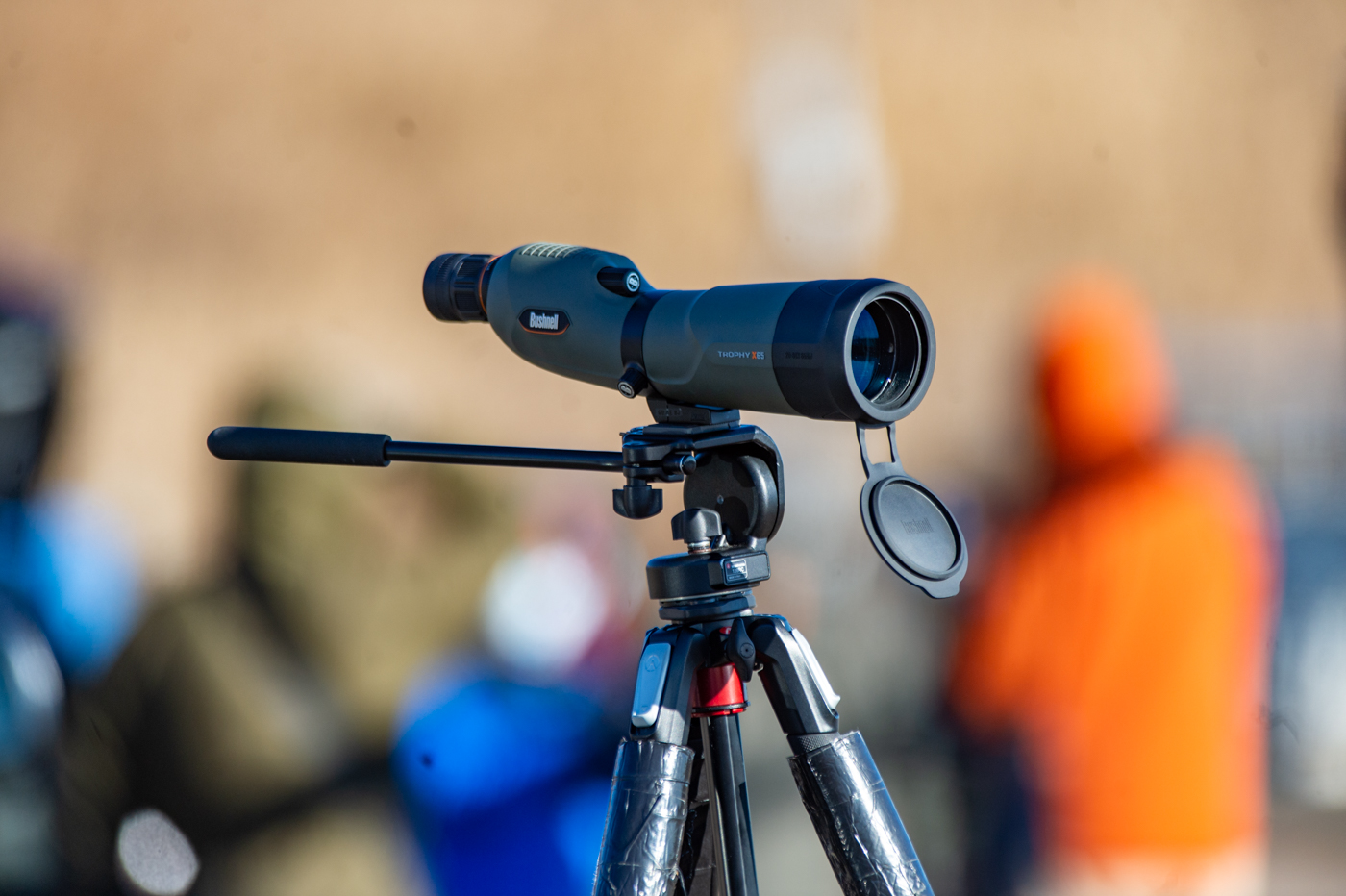 Hyperlocal Winter Birding - nj.com