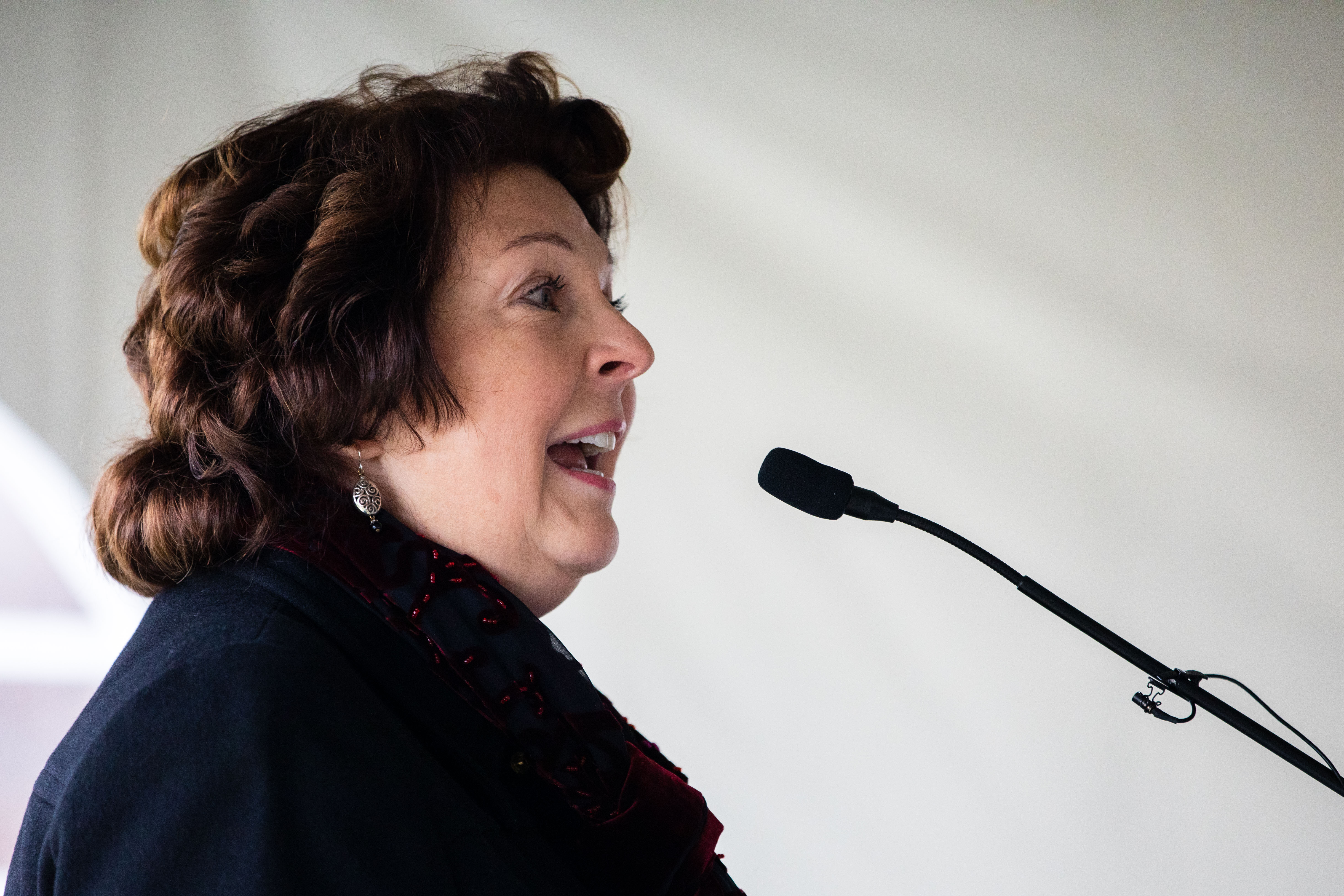 Kalamazoo County Veterans Day ceremony honors Veterans - mlive.com