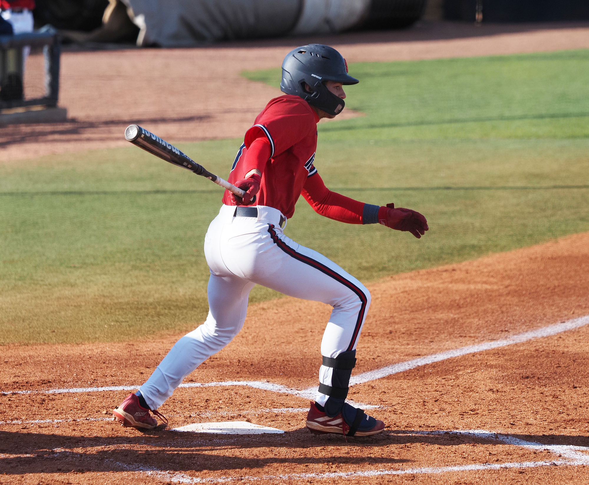 Southern Indiana at South Alabama baseball - al.com