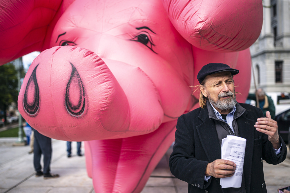 Pink pig returns to Pa. Capitol to protest election review - pennlive.com