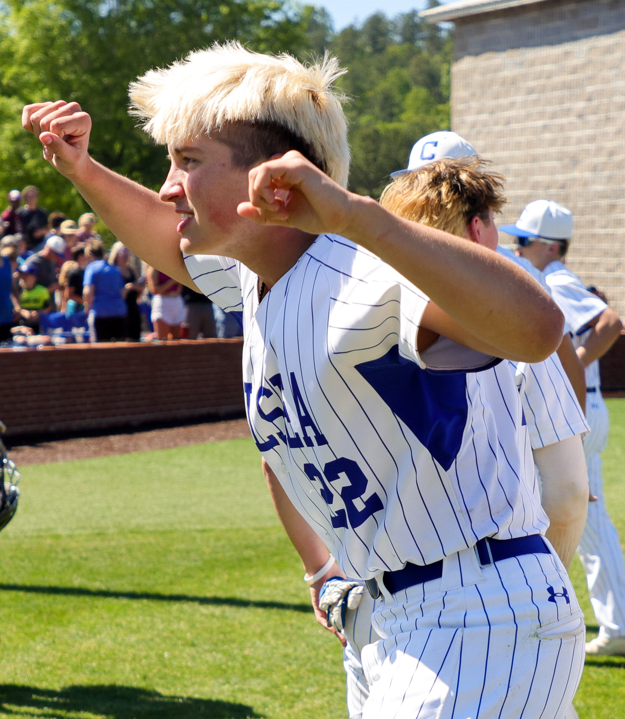 Cullman at Chelsea Class 6A baseball Game 3 - al.com