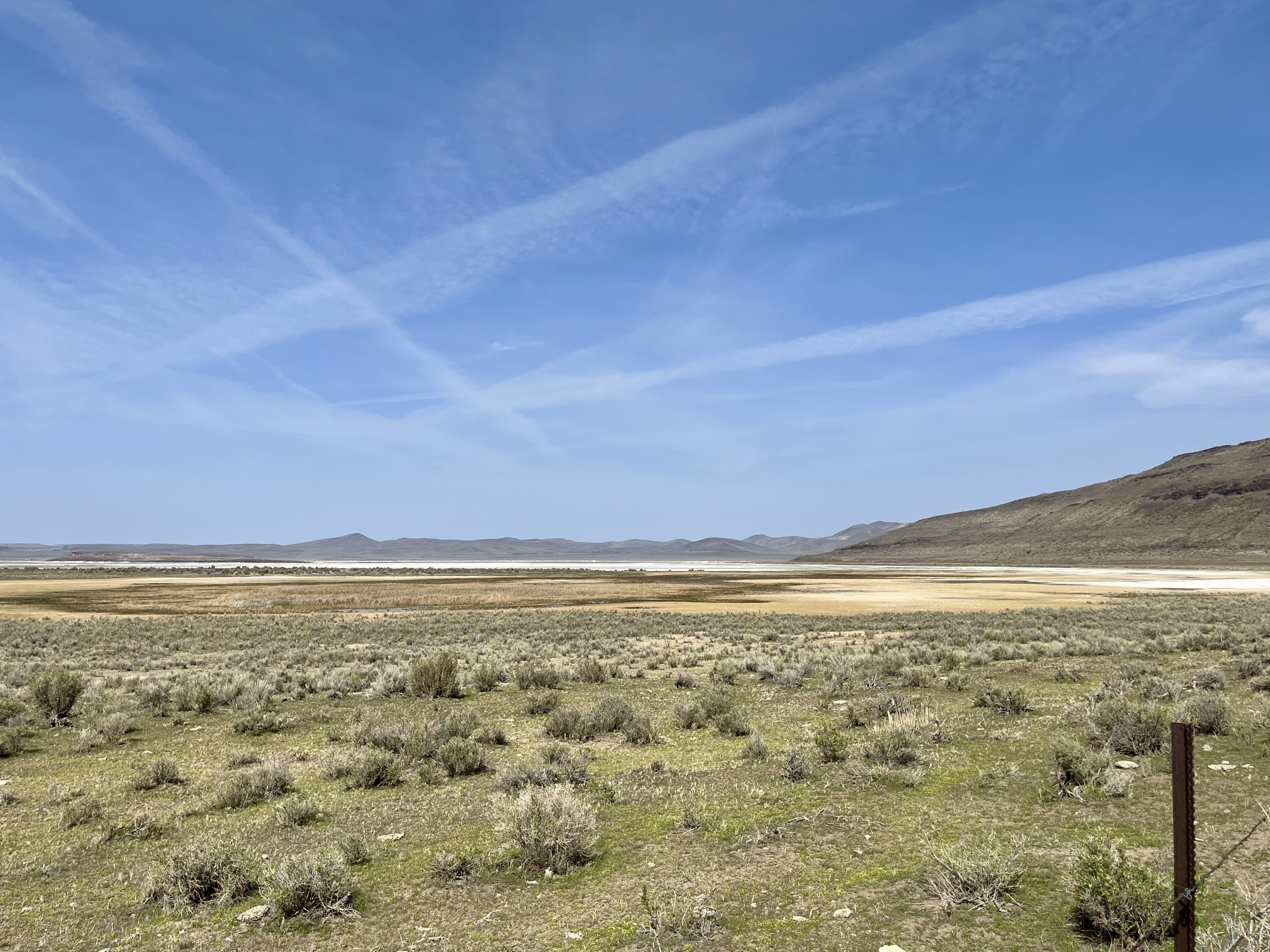 What's in Paisley? - oregonlive.com