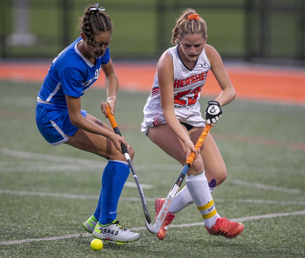 Lower Dauphin shuts out Hershey 2-0 in field hockey - pennlive.com