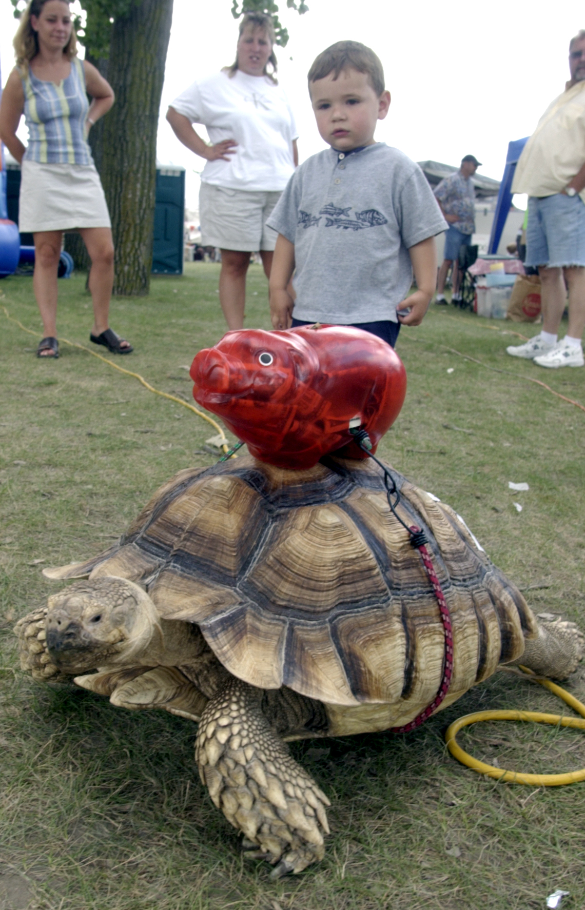 Bay City’s Pig Gig over the years - mlive.com