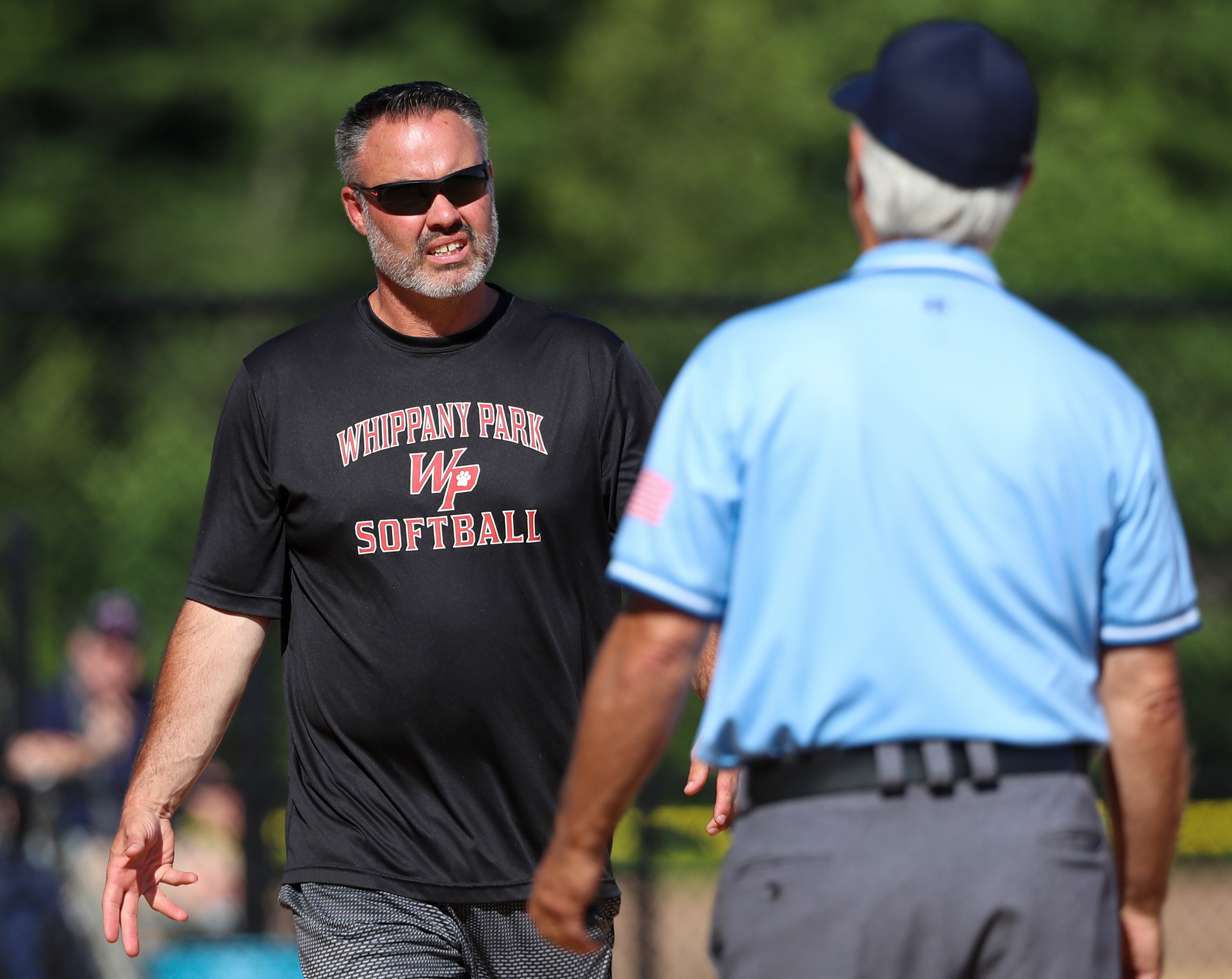 Whippany Park beats Emerson Boro in NJSIAA Group 1 softball semis - nj.com