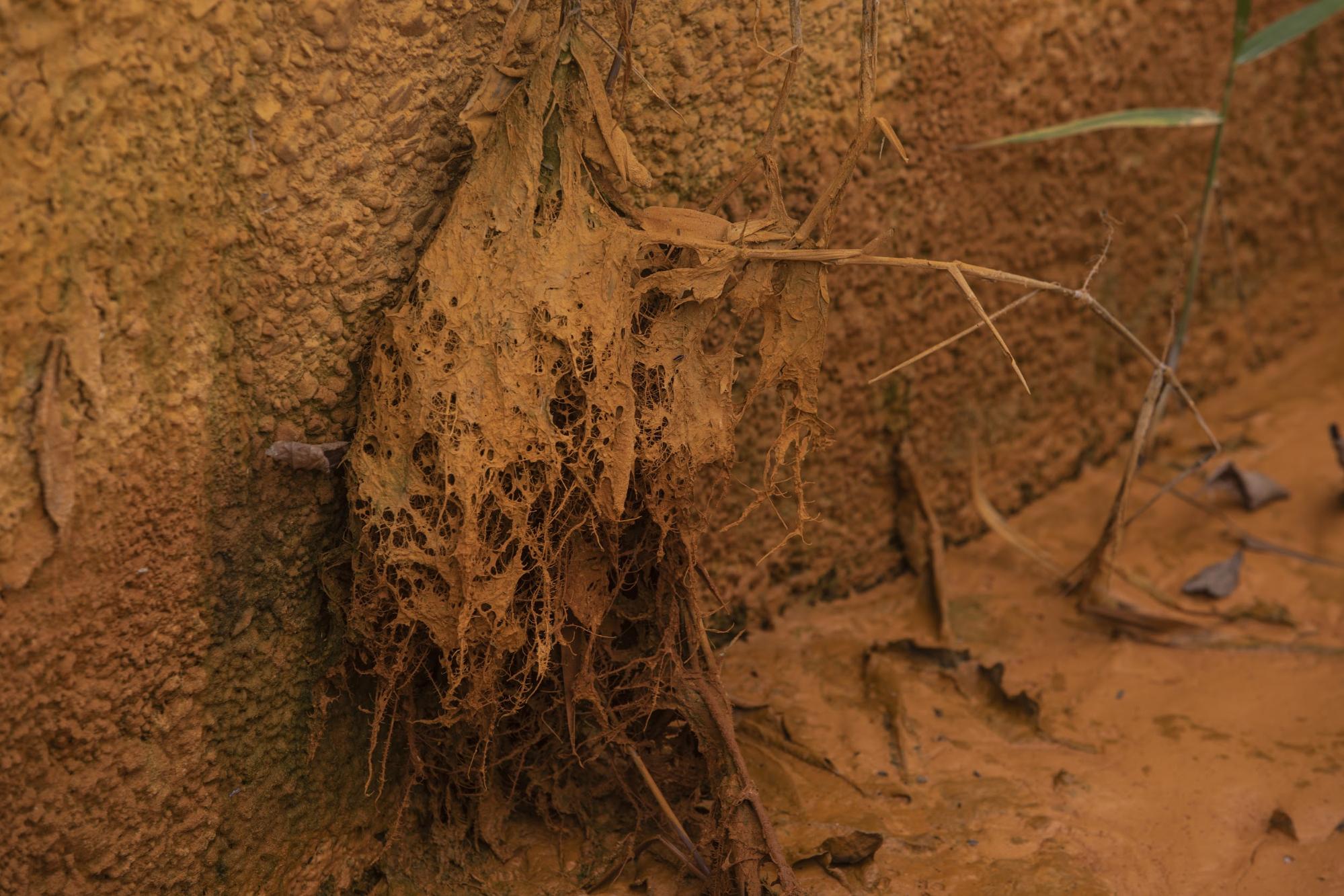 Indigenous fishermen on Mexico’s Gulf fight sulfur pollution - mlive.com