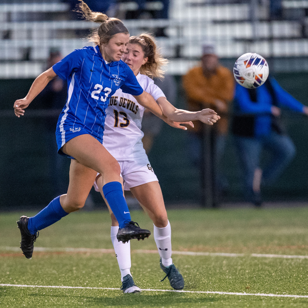 Lower Dauphin wins first D3, 3A girls soccer championship - pennlive.com