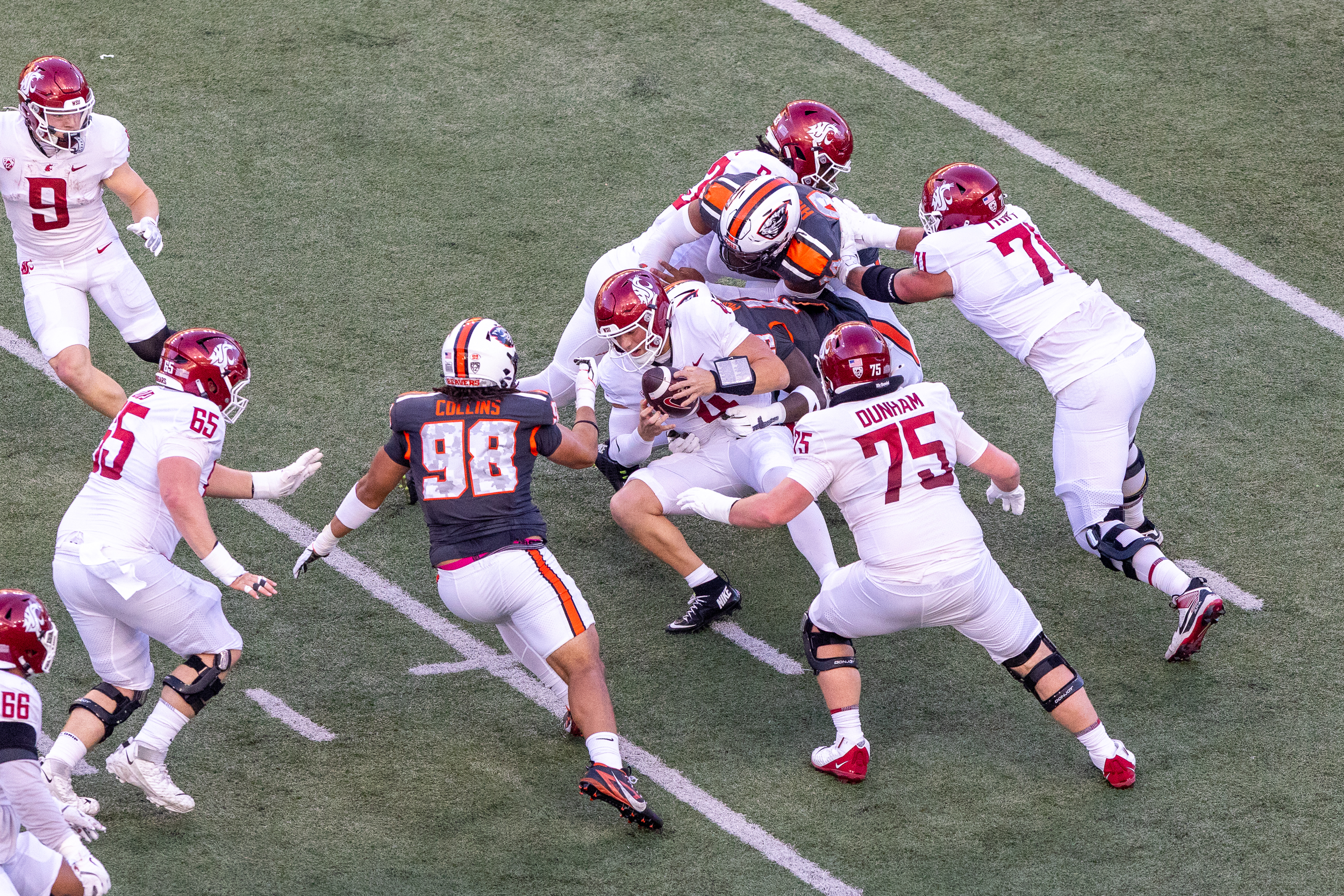 Oregon State Beavers vs. Washington State Cougars: Nov. 1, 2025 ...