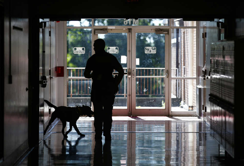 20th Regional Explosives Detection Dog Initiative - lehighvalleylive.com