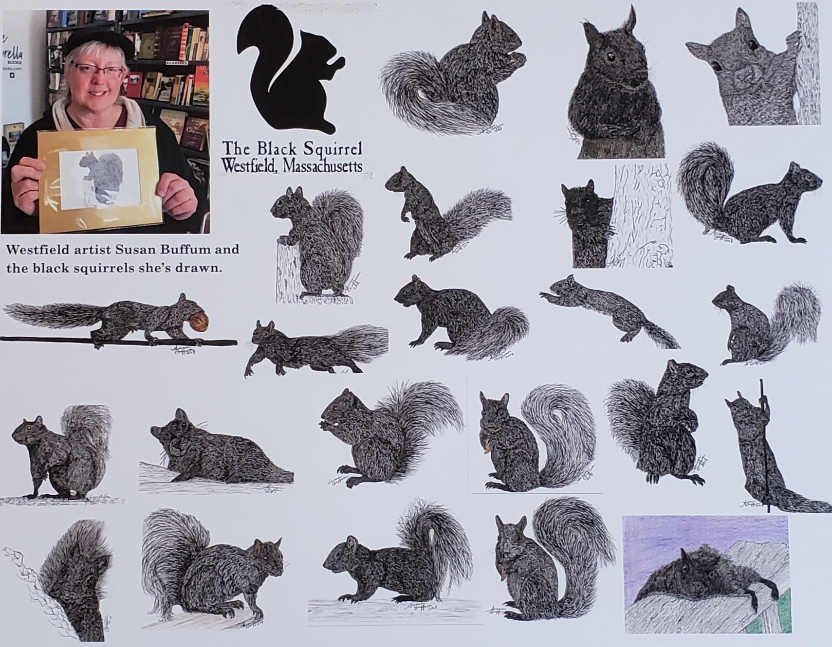 The Black Squirrel of Westfield - masslive.com