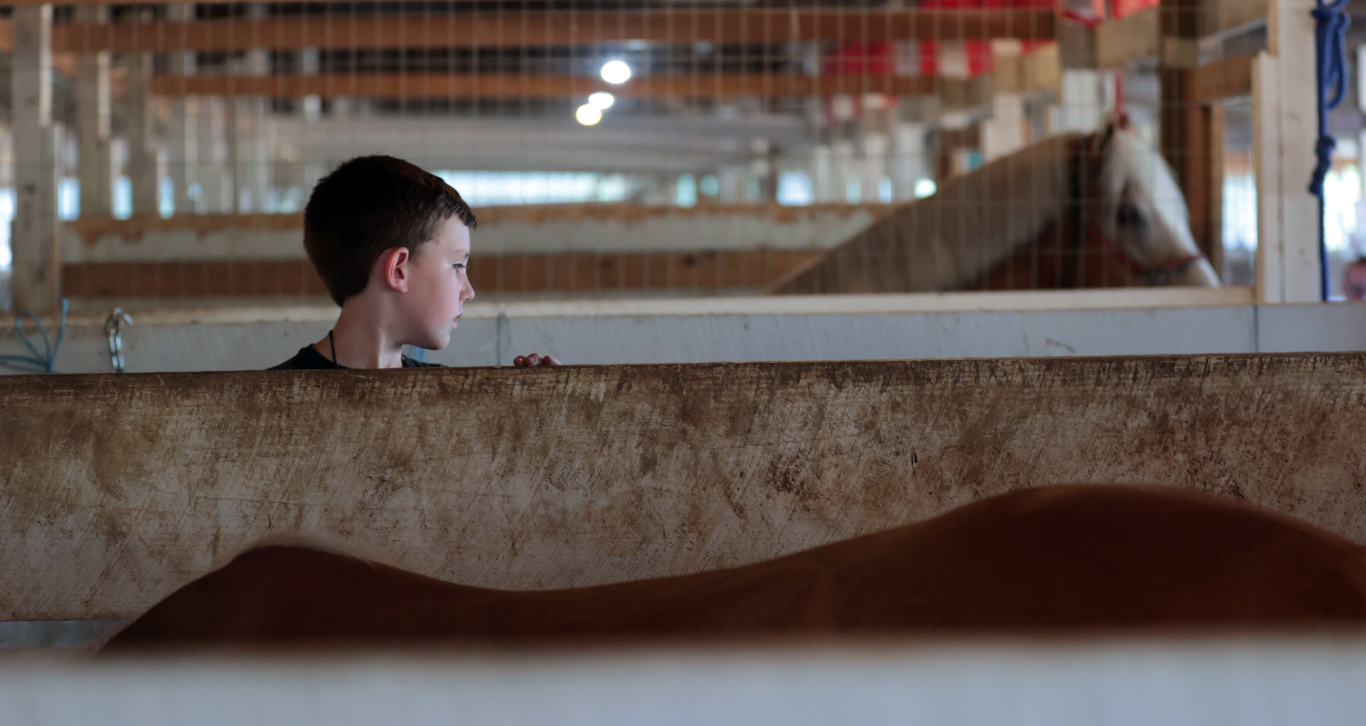 128th annual Cuyahoga County Fair , August 8, 2025 - cleveland.com