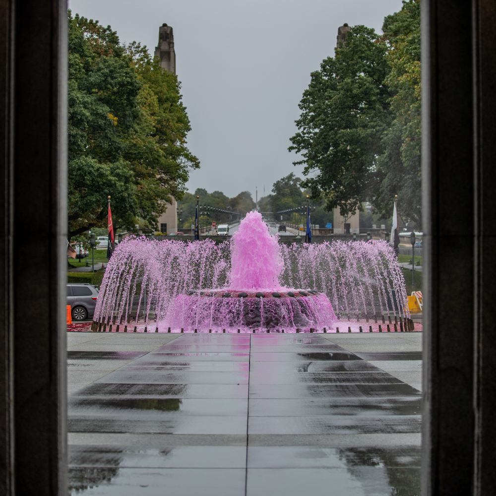 Capitol fountain turns pink to fight breast cancer - pennlive.com