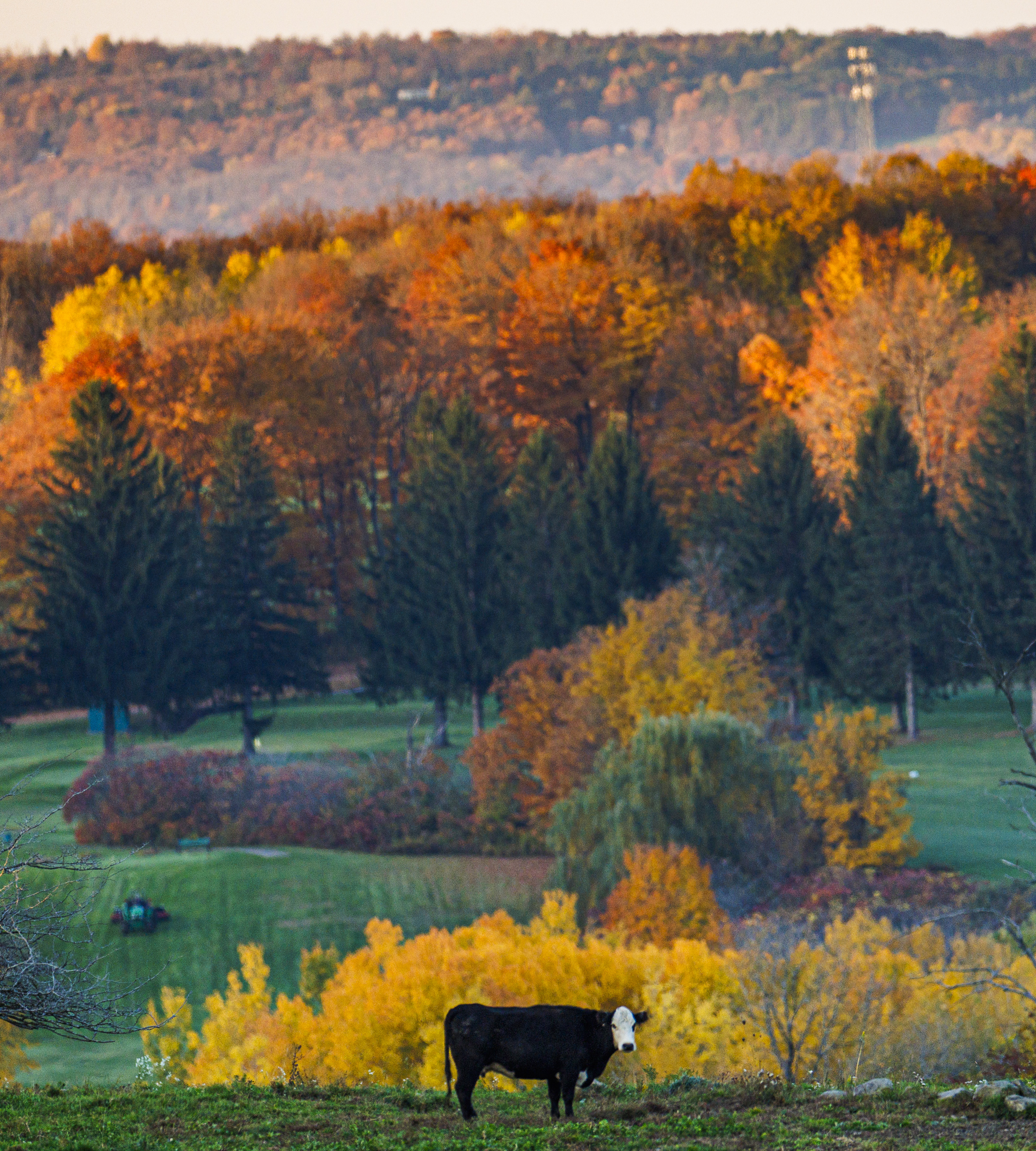 Autumn colors delight as fall foliage transforms Central NY - syracuse.com