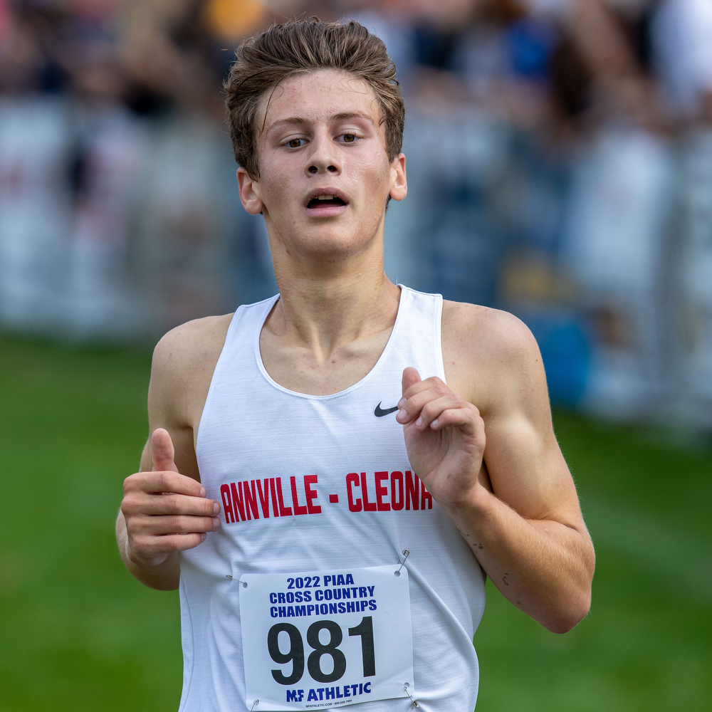 The 2022 PIAA Boys Cross Country Championships at Hershey - pennlive.com
