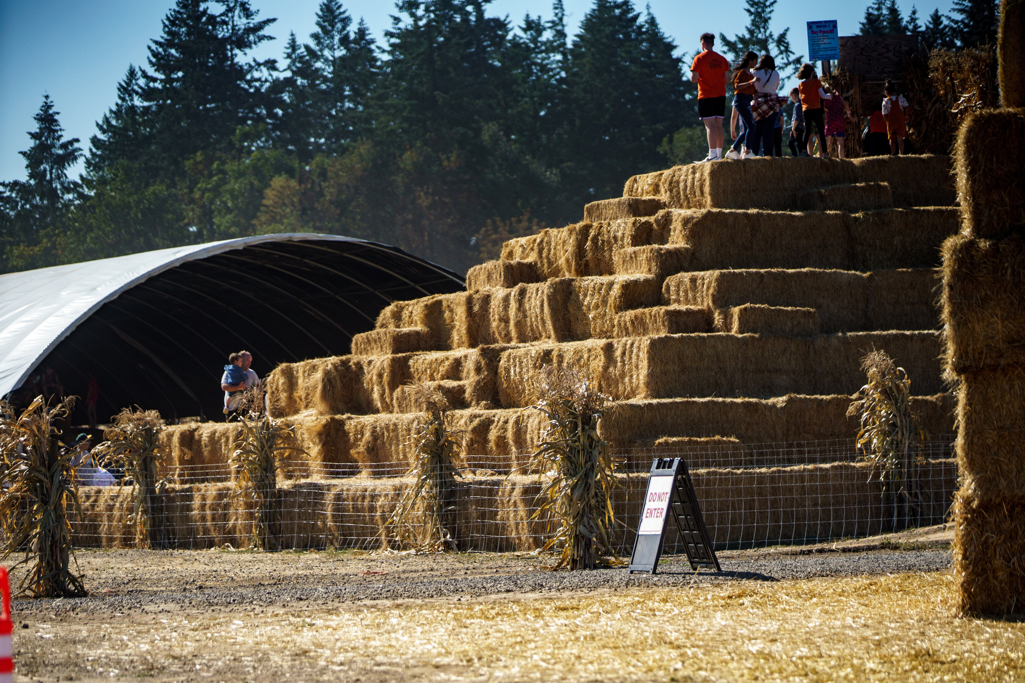 Bauman’s Giant Pumpkin Drop 2022 - oregonlive.com