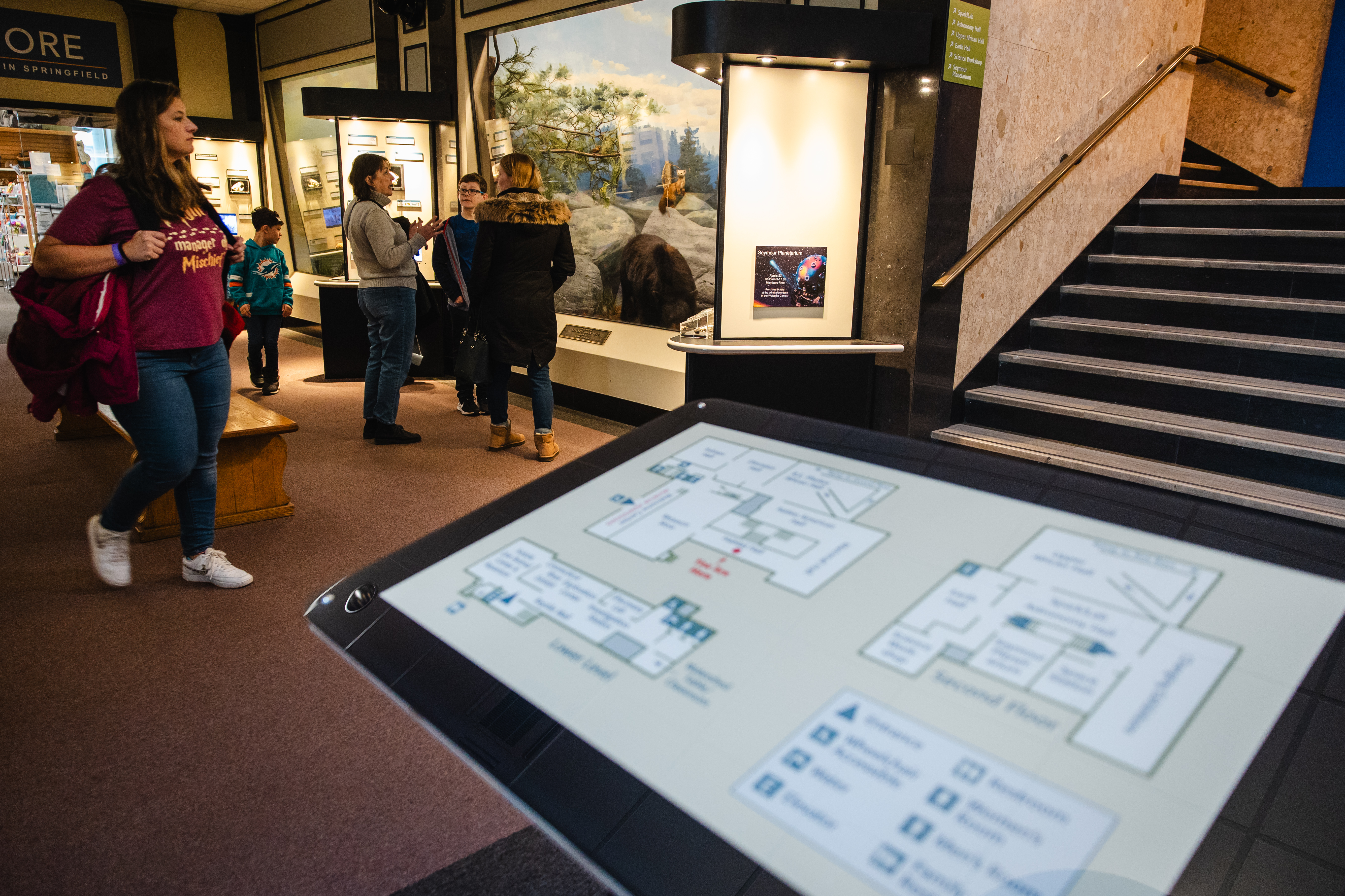 Springfield Museums offer Free First Wednesday to visitors - masslive.com