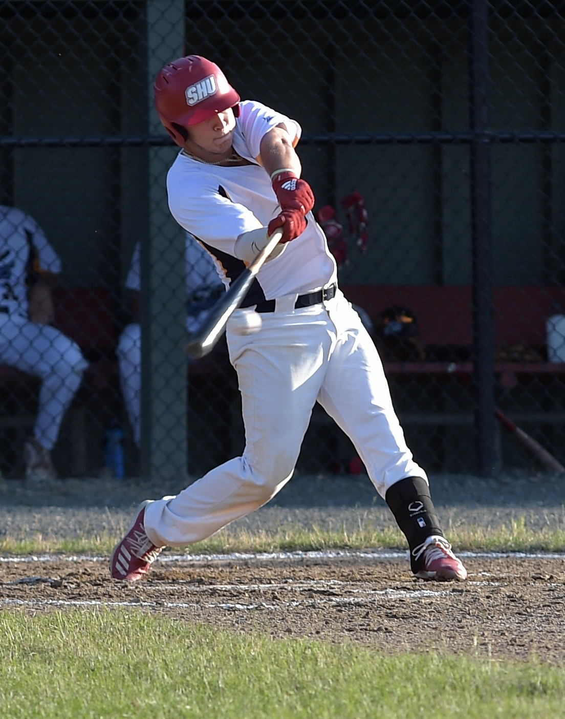 Westfield Starfires VS Nashua Silver Knights at Bullens Field (Photos ...