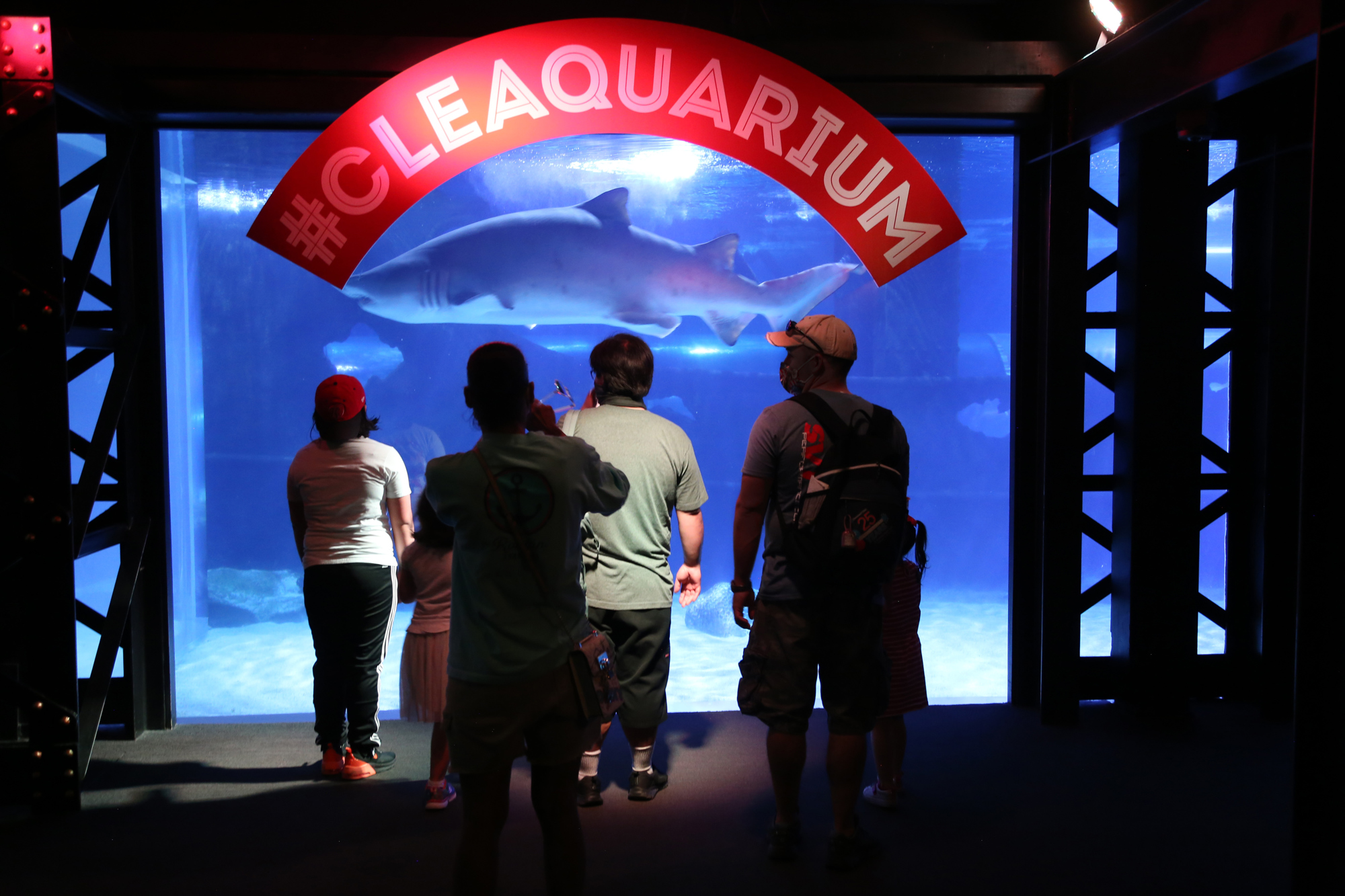 Greater Cleveland Aquarium opens to the public Monday - cleveland.com