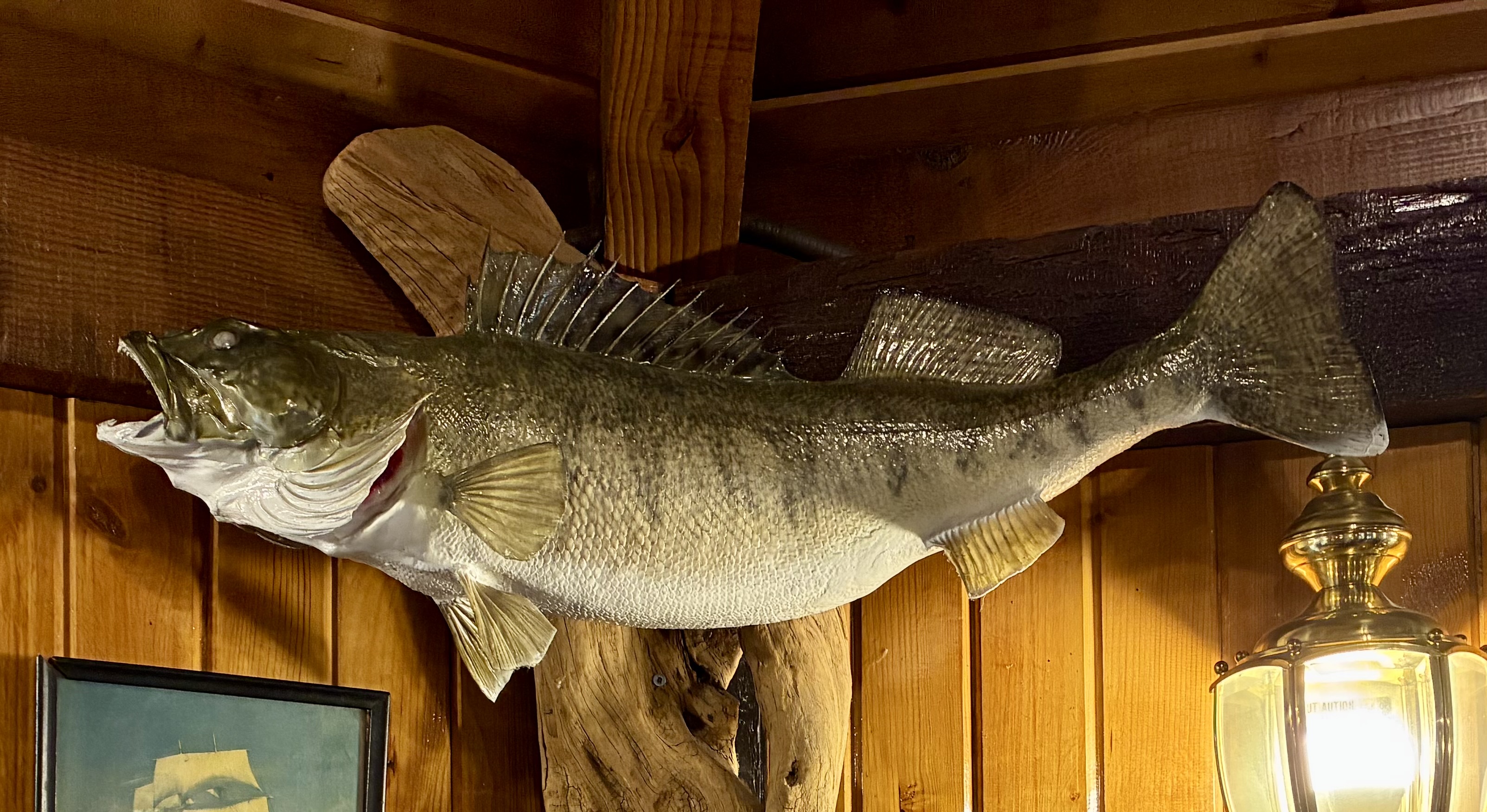 Best Seafood in Northeast Ohio: Brennan’s Fish House nets recognition ...