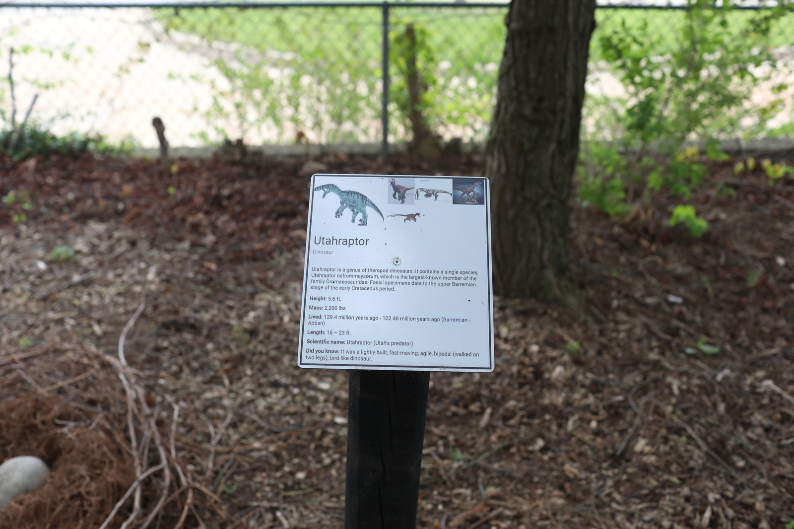 'Dino Park' in Kalamazoo - mlive.com