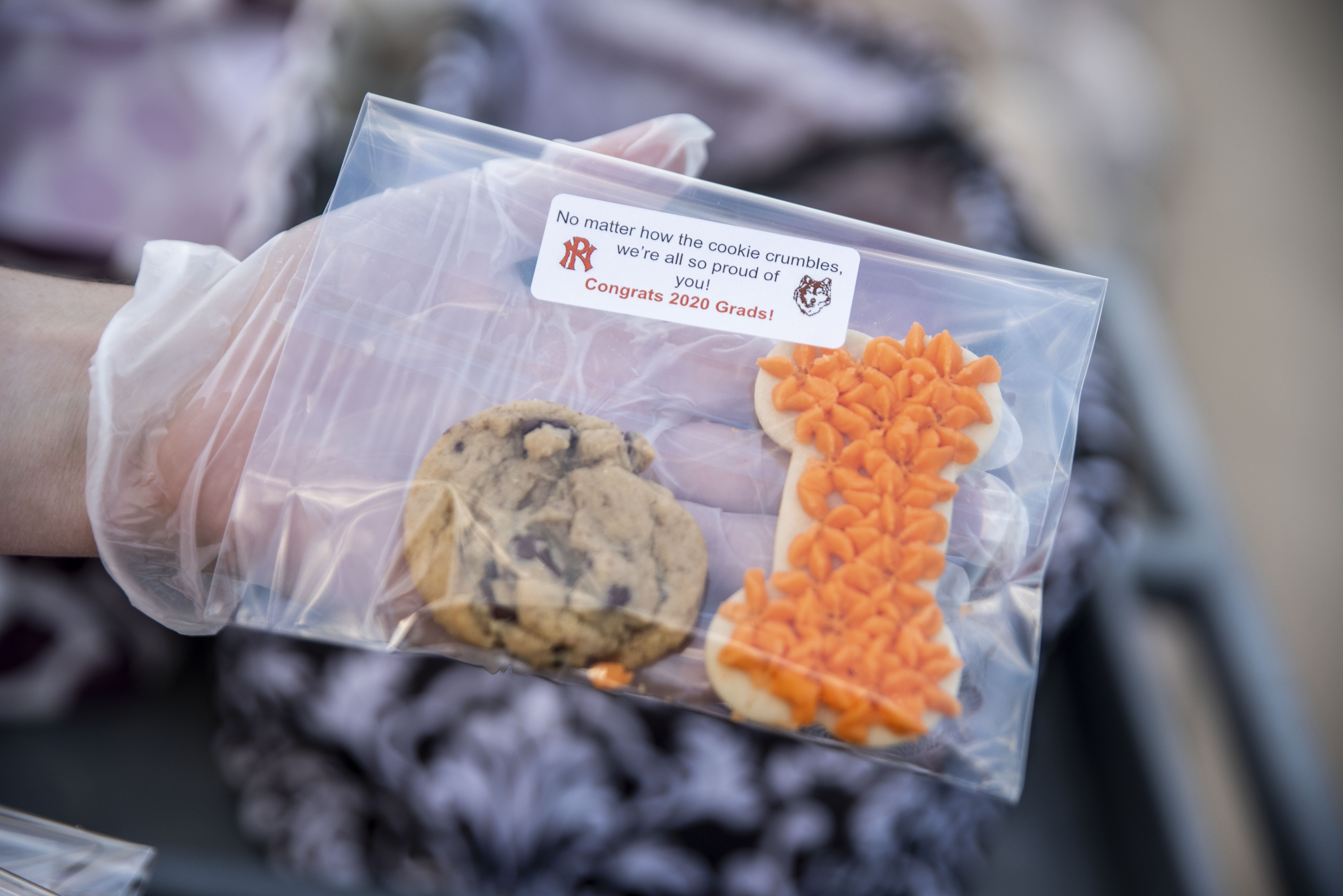 Portage Northern senior sunset parade - mlive.com