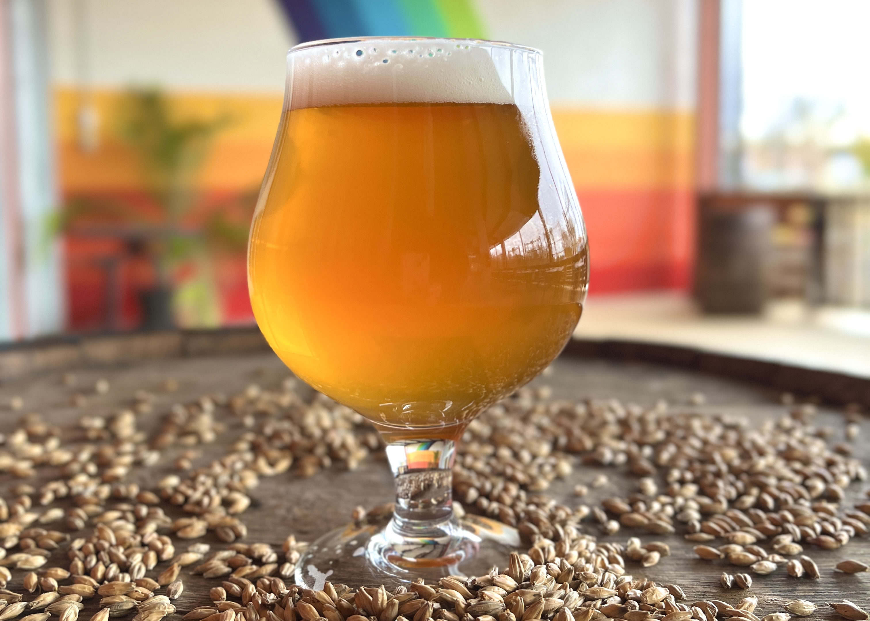Growing Barley For Beer Removing Toxins From Wheat And Barley Will