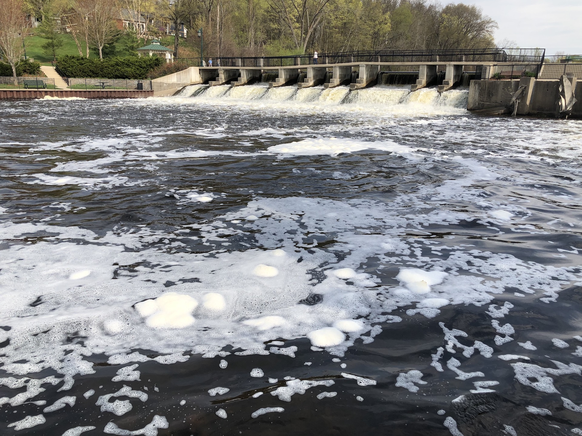 Rogue River PFAS contamination - mlive.com