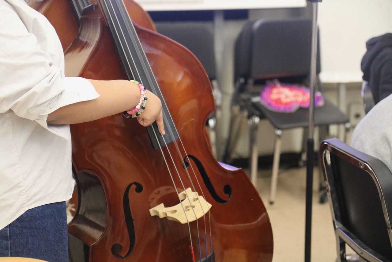 Staten Island music educator brings joy of strings instruments to ...