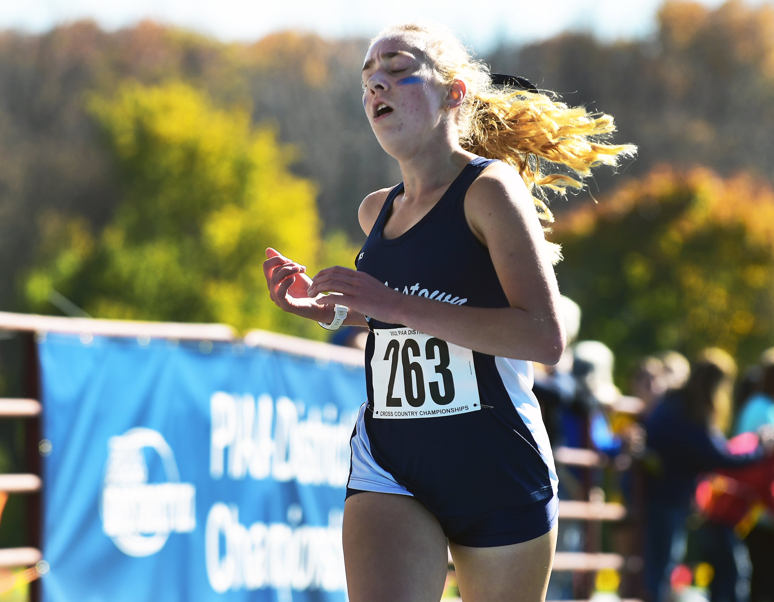 The District 3 AAA Cross Country Championships - pennlive.com