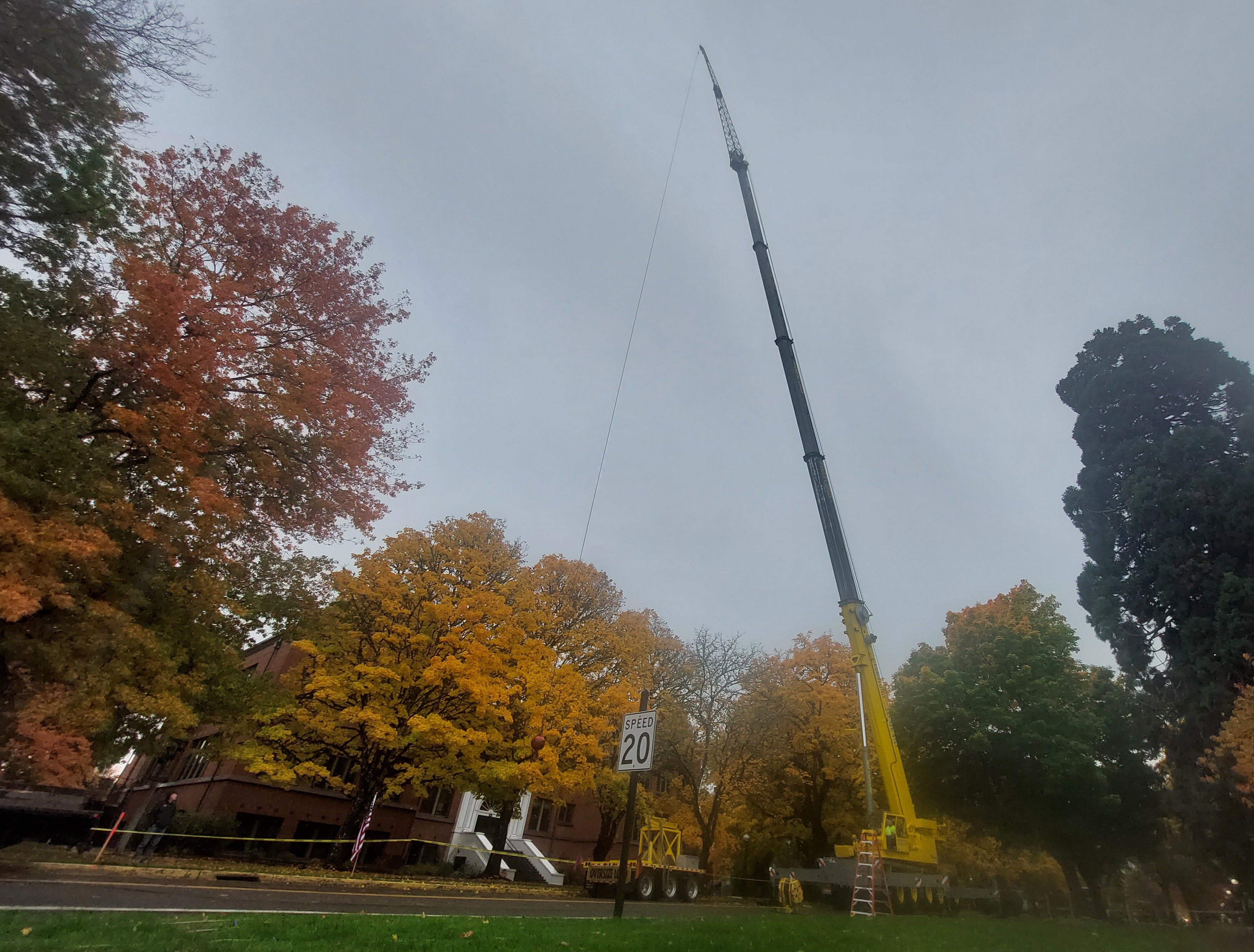 Western Oregon University tree - oregonlive.com