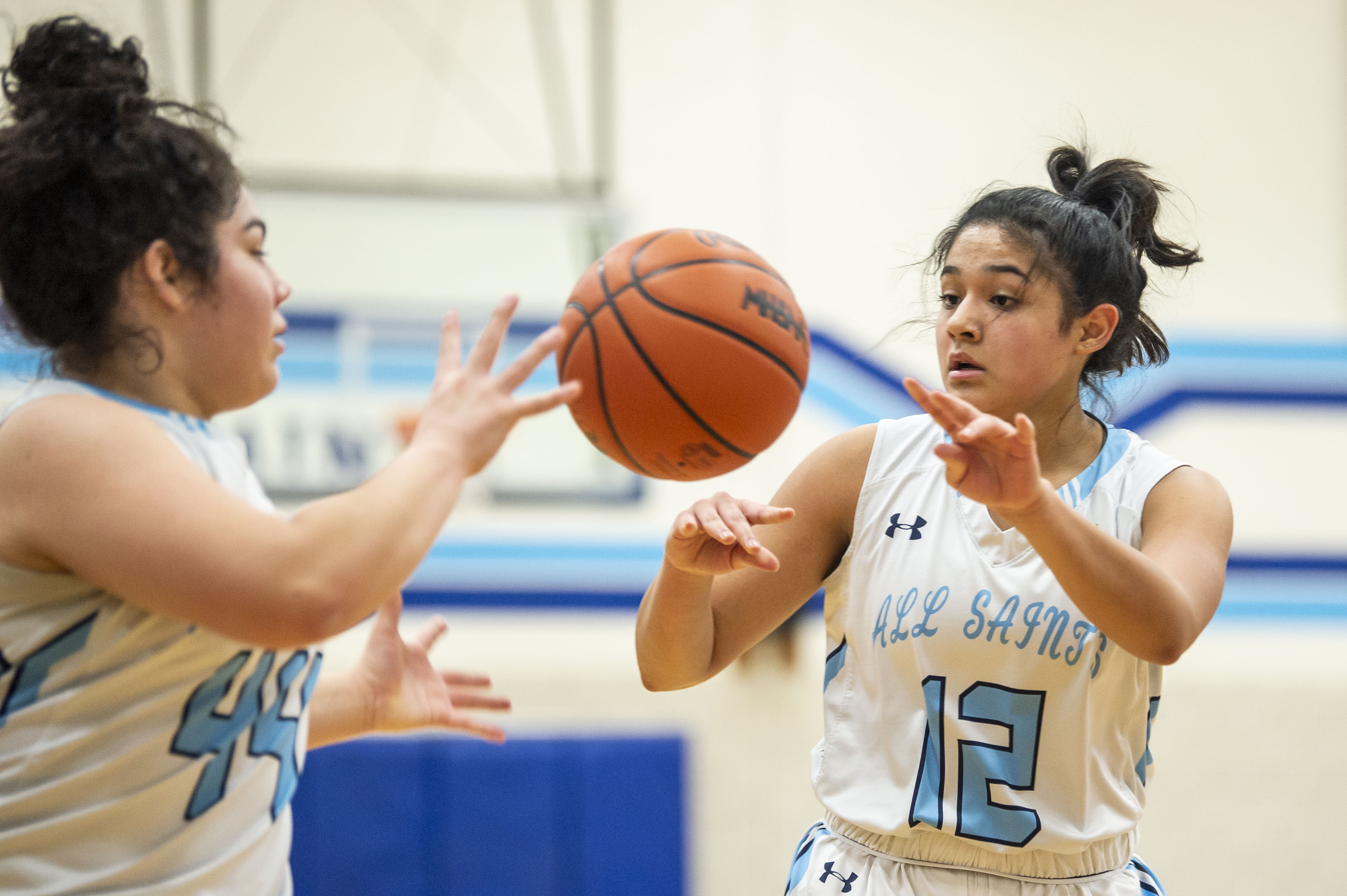 All Saints Central girls basketball faces Carsonville-Port Sanilac ...