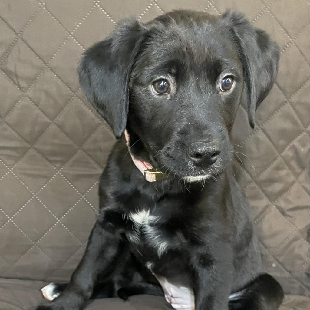 What are your plans for the weekend? How about meeting one of these ...